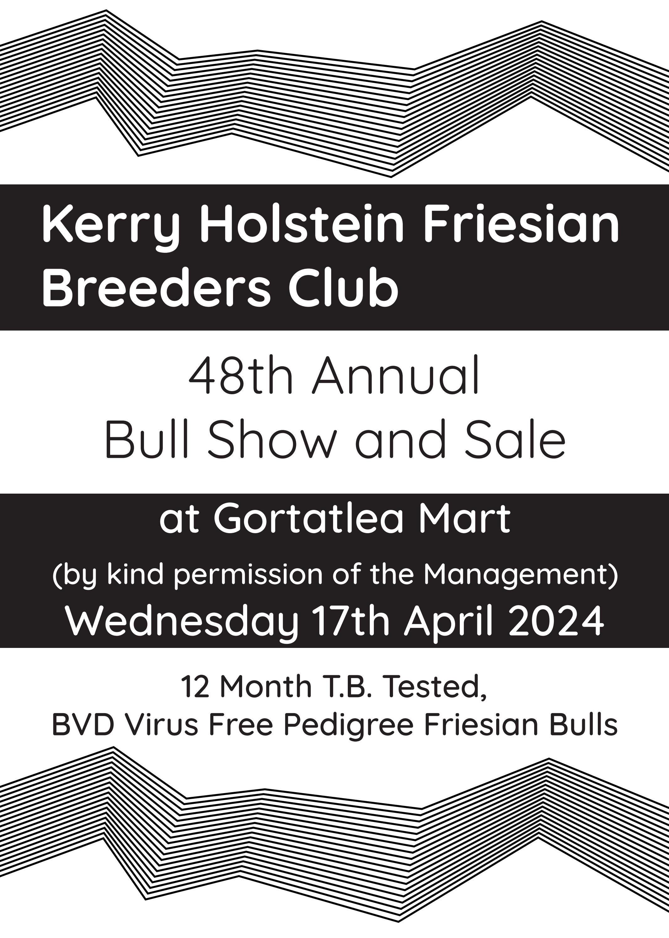 Kerry Bull sale 2024 by Shucks131 - Issuu