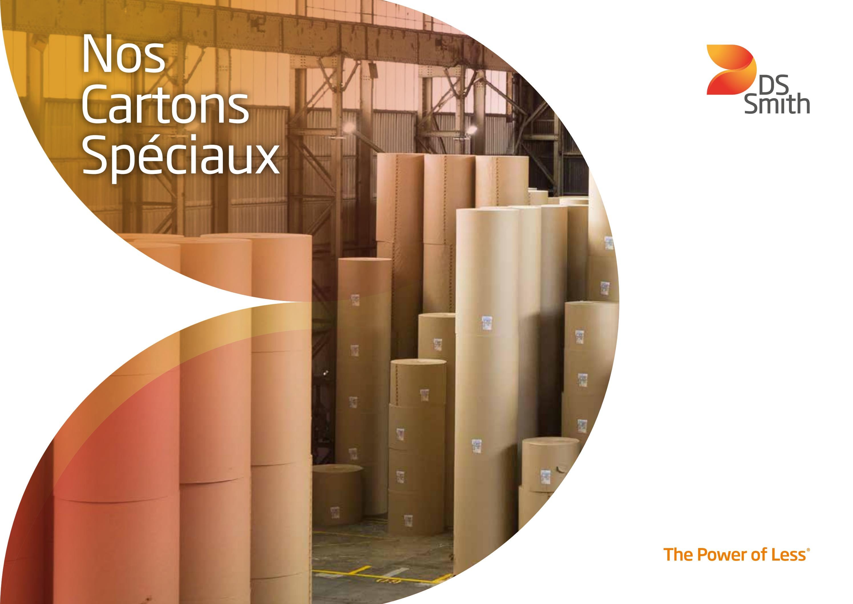 Nos Cartons Speciaux - Speciality Paper catalogue (French) by DS Smith ...