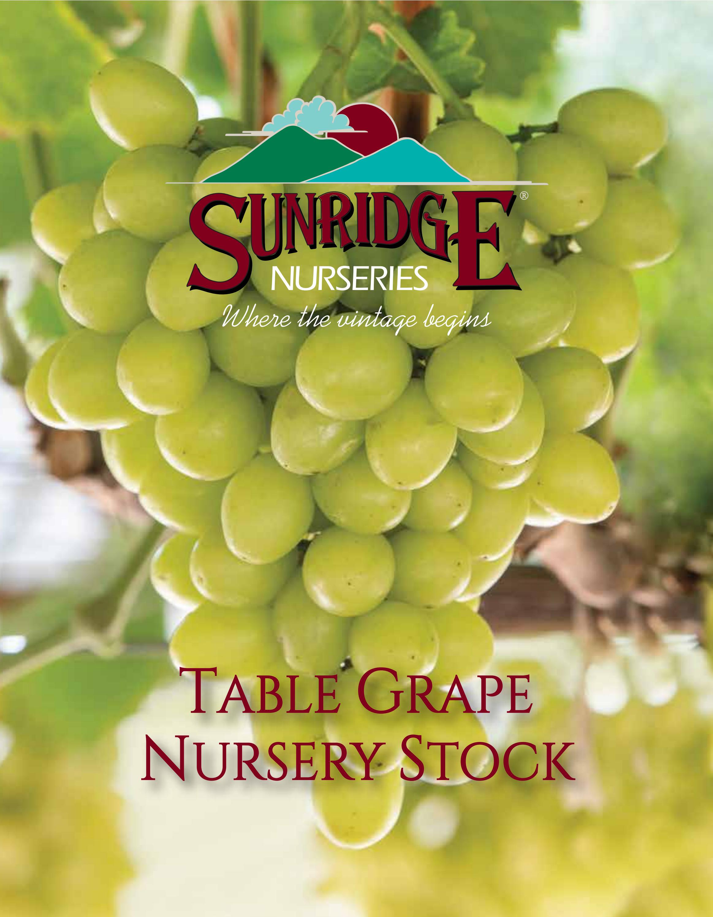 Table Grape Catalog 2024 by Sunridge Nurseries - Issuu