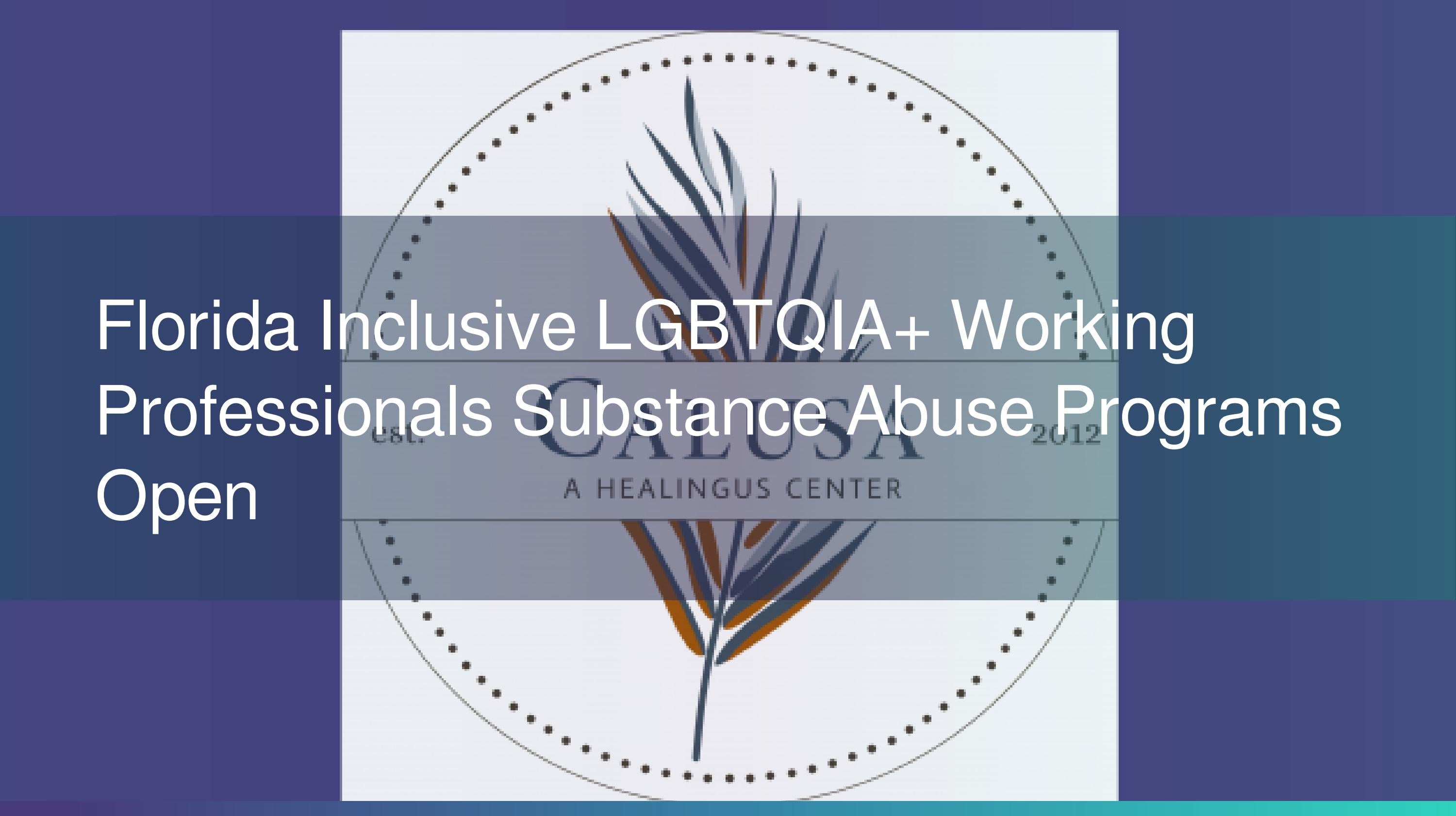 Florida Inclusive LGBTQIA+ Working Professionals Substance Abuse ...