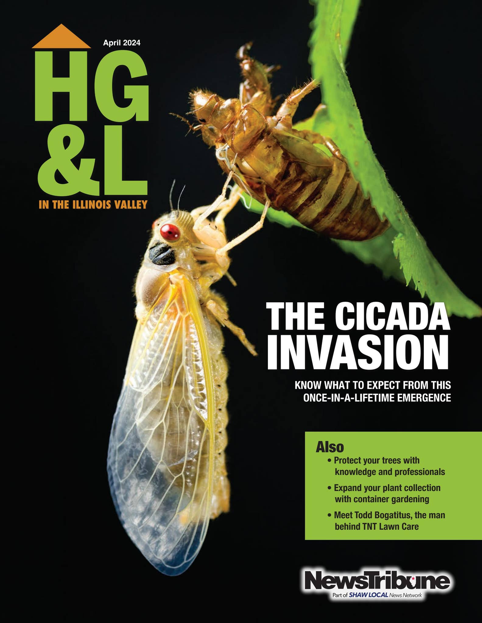 NewsTribune_Home, Garden & Life_042024 by Shaw Media - Issuu