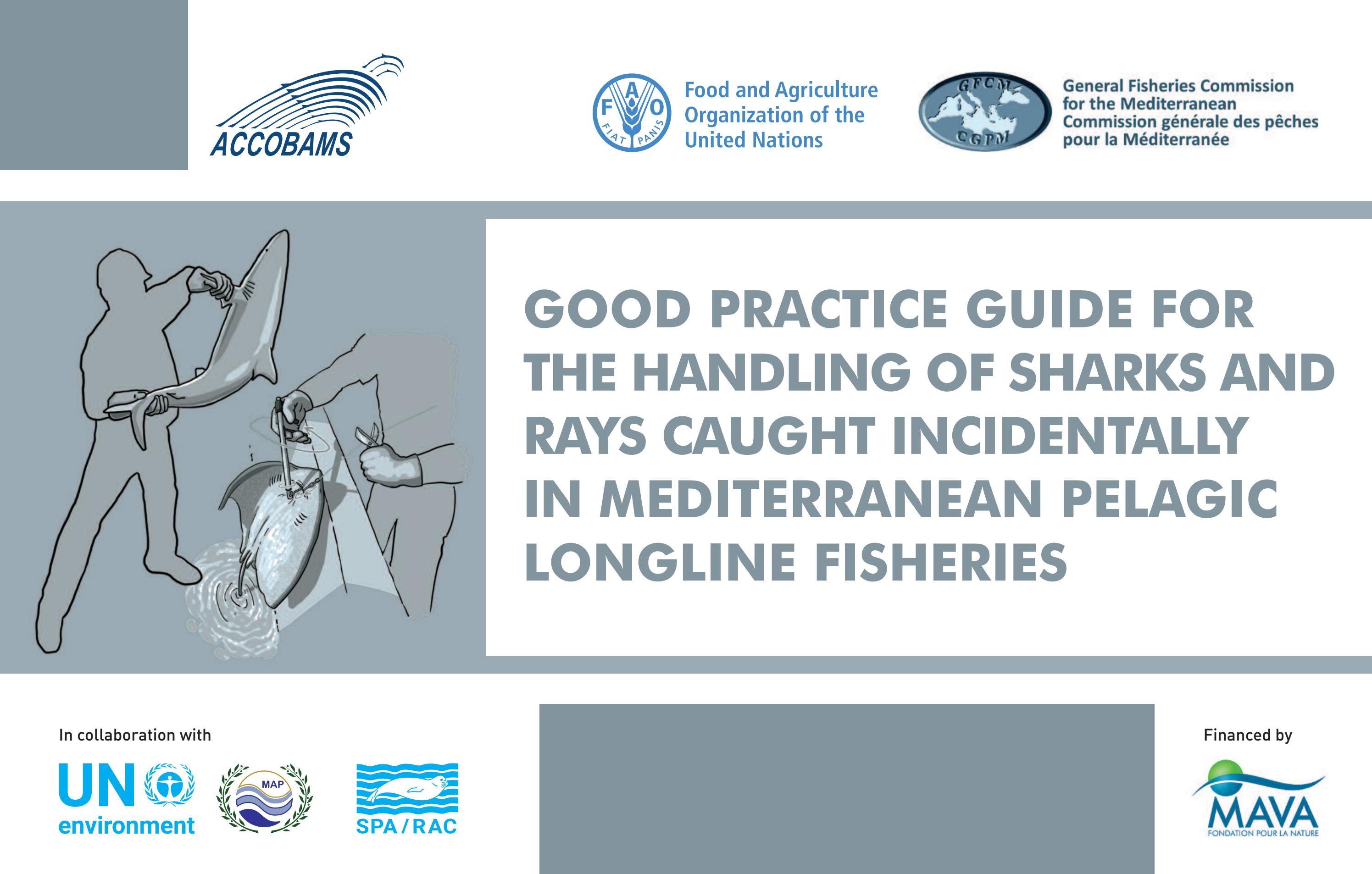 Good Handling Practice Guides for the Handling of Sharks by MEDASSET ...