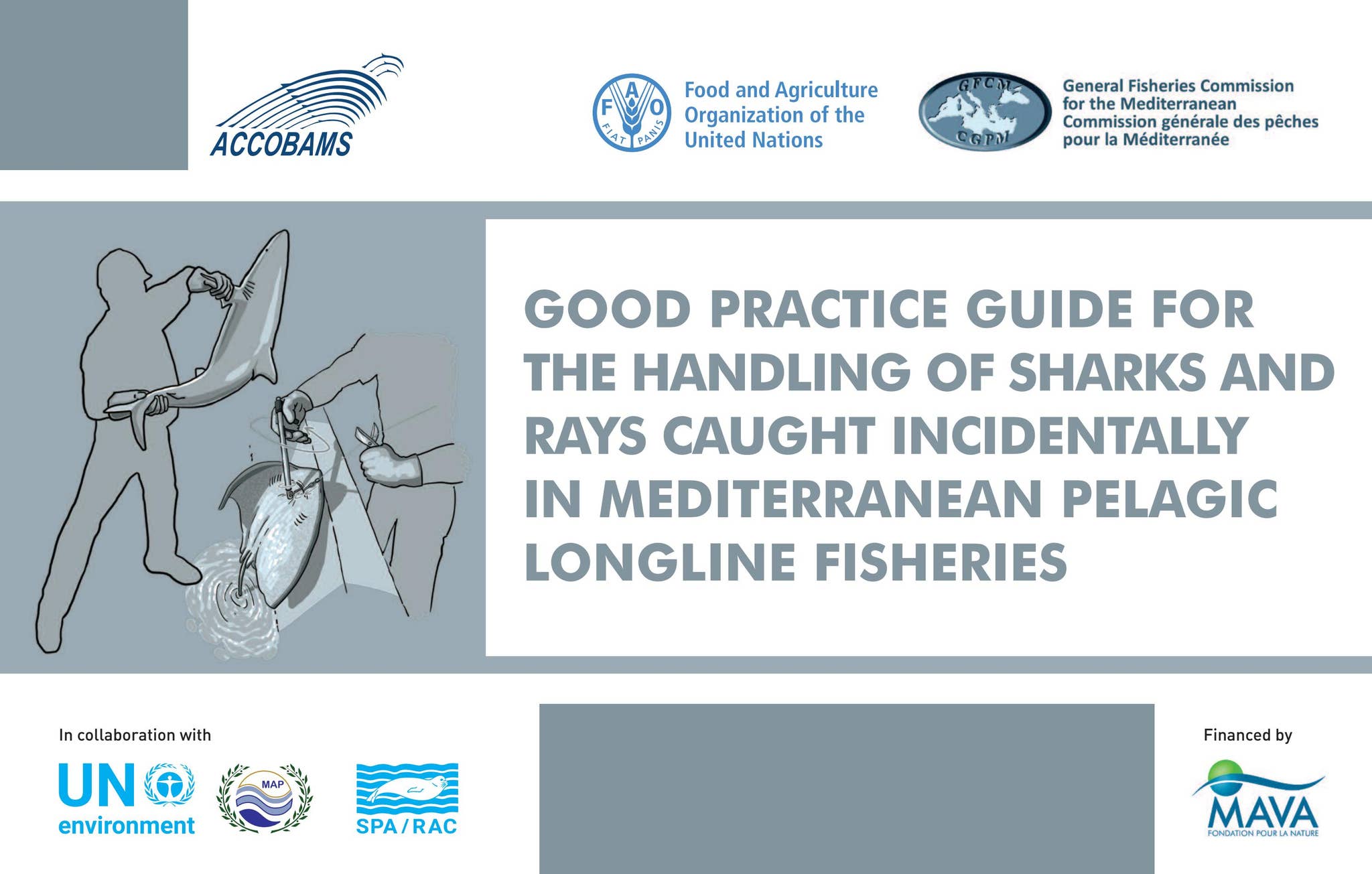 Good Handling Practice Guides for the Handling of Sharks by MEDASSET ...