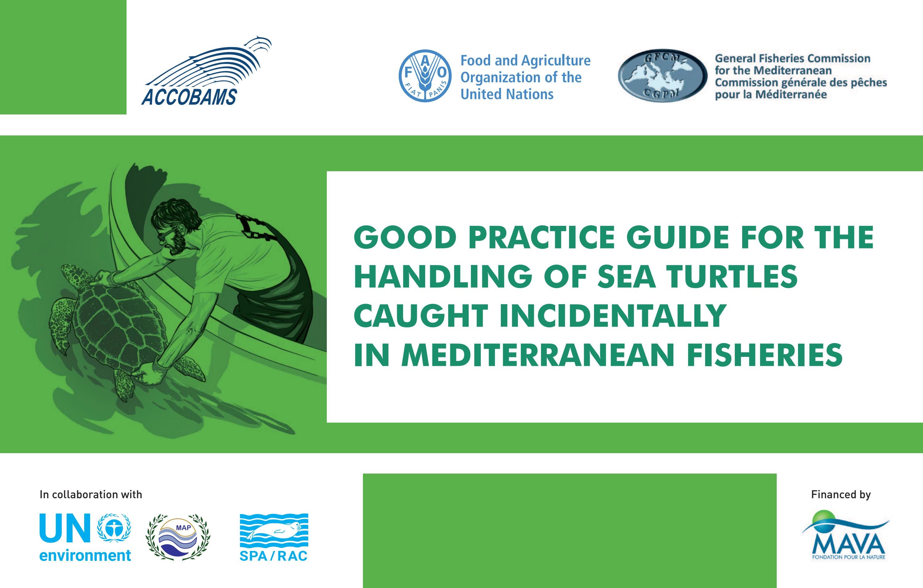 Good Practice Guides for the Handling of Sea Turtles caught in fishing gear by MEDASSET - Issuu