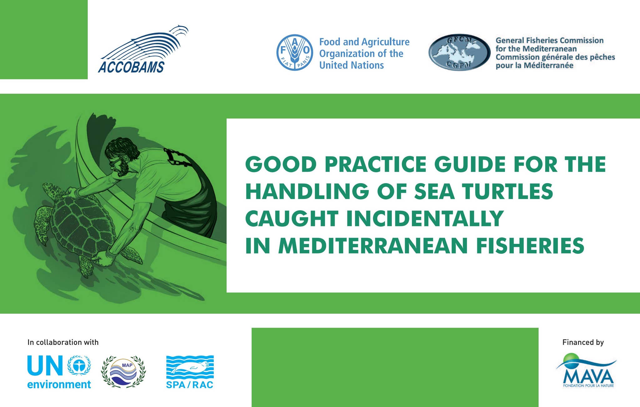 Good Practice Guides for the Handling of Sea Turtles caught in fishing ...