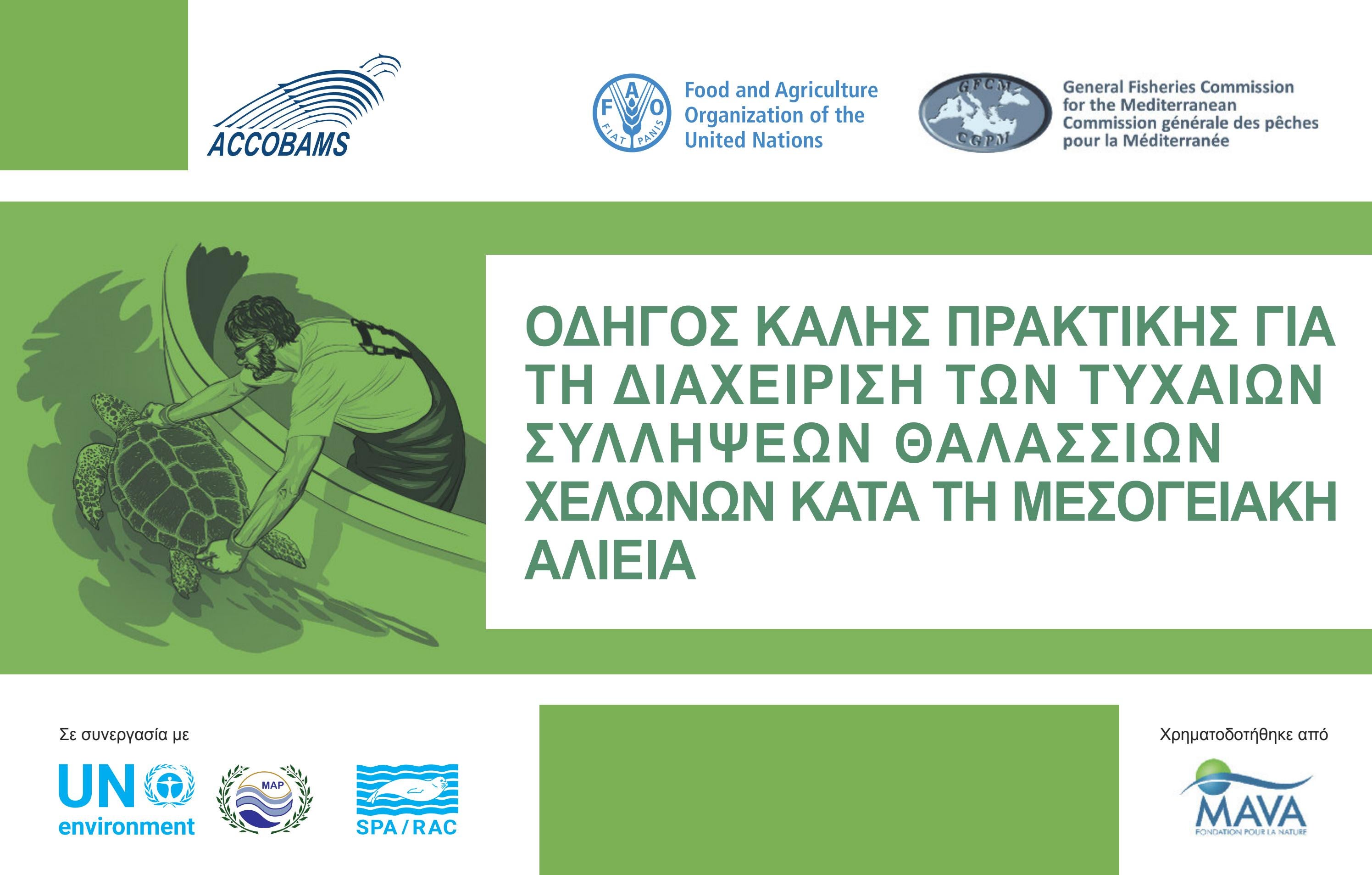 Οδηγός Καλών Πρακτικών για τη διαχείριση τυχαίων συλλήψεων θαλάσσιων ...