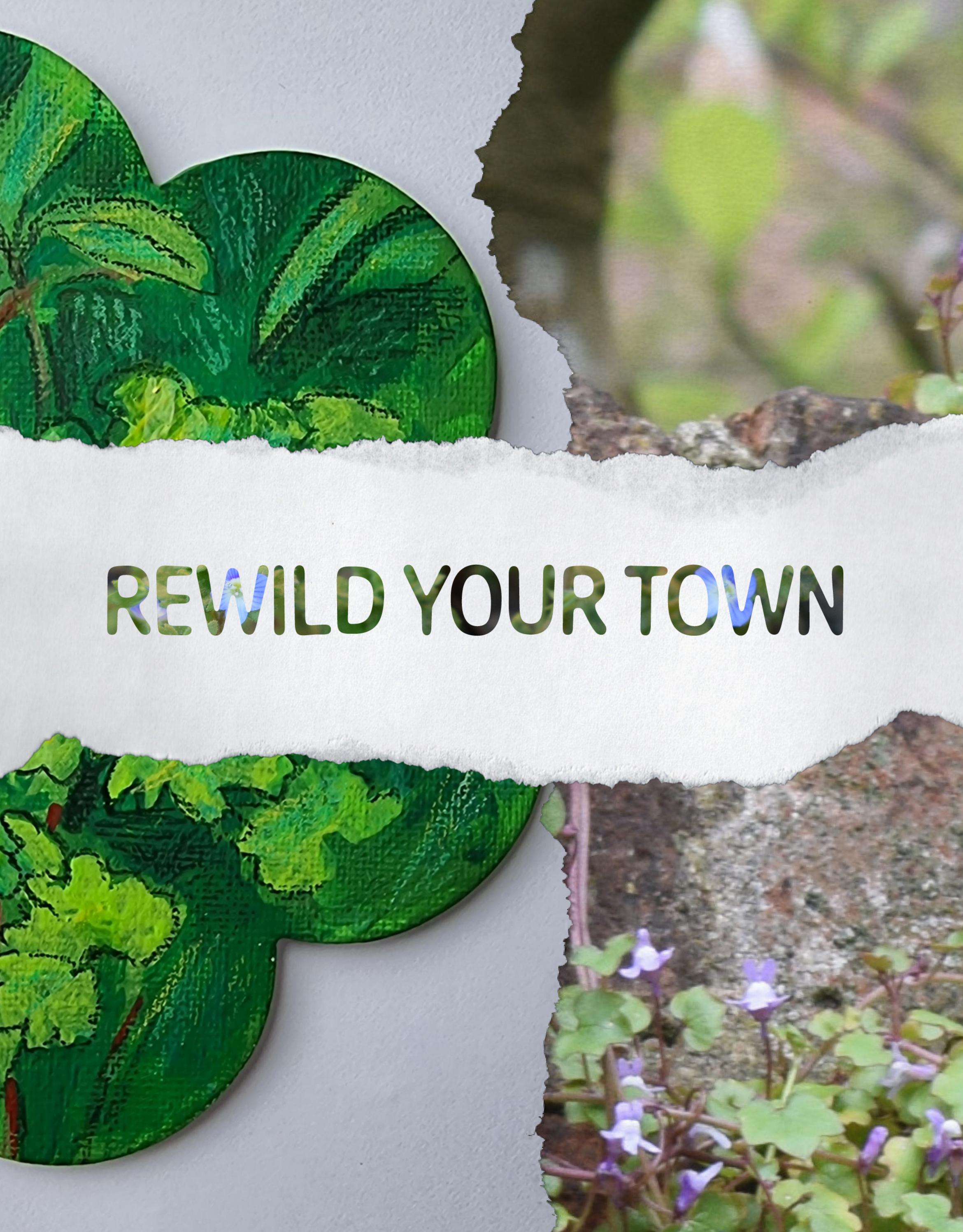Rewild your town by Cristina Litan - Issuu