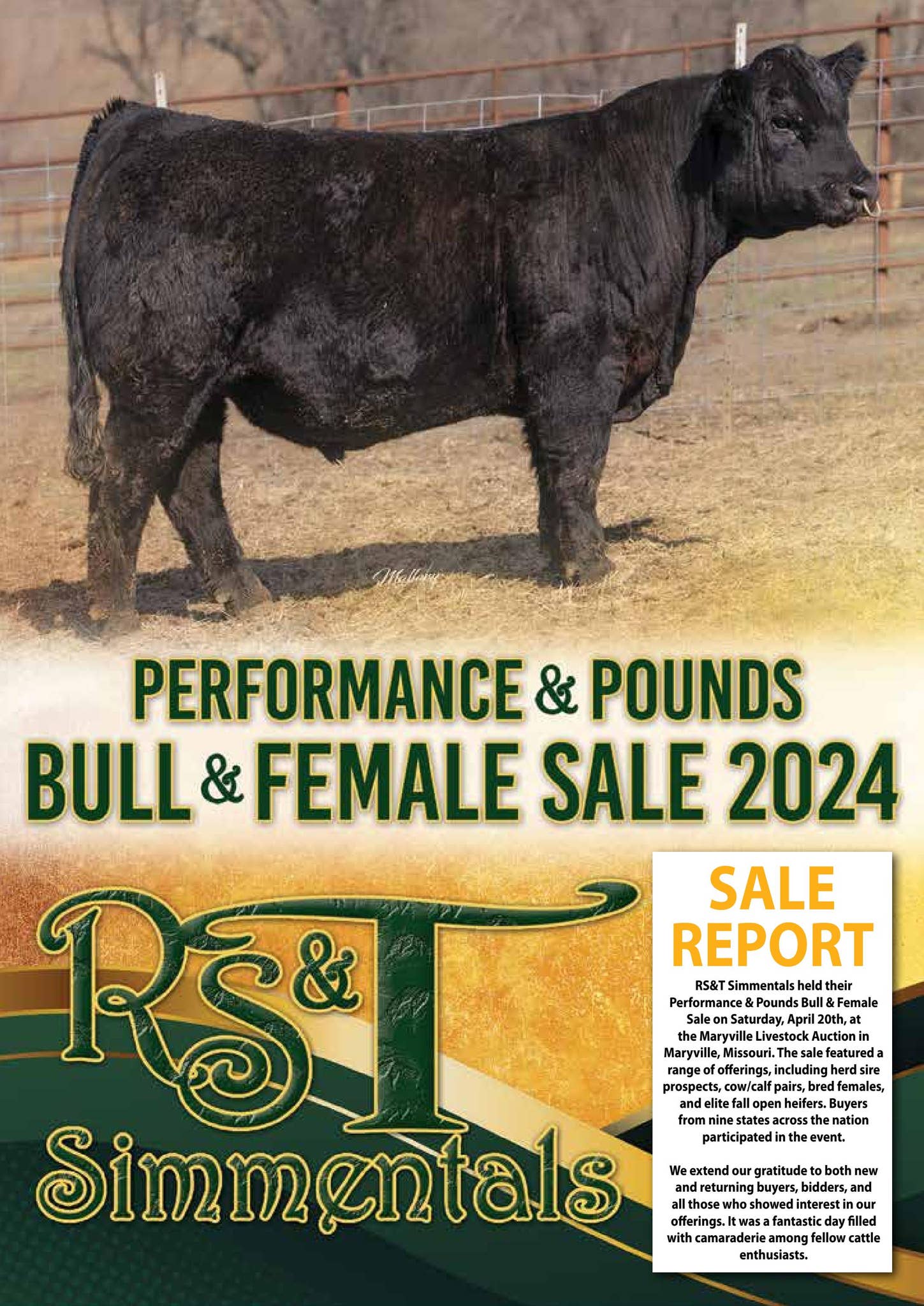 2024 RST Simmentals Sale Report by Eberspacher Enterprises - Issuu