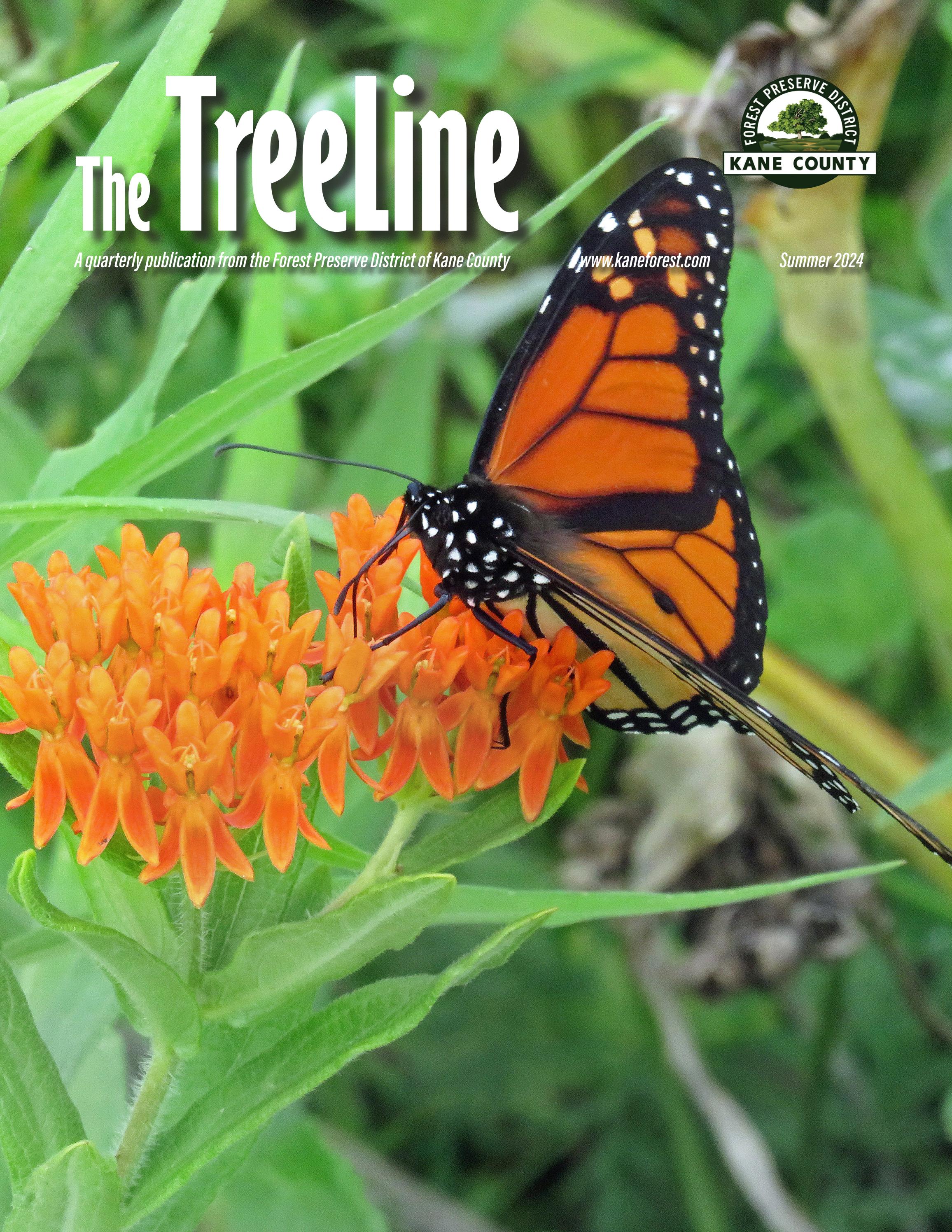 Summer TreeLine 2024 by forestpreserve - Issuu