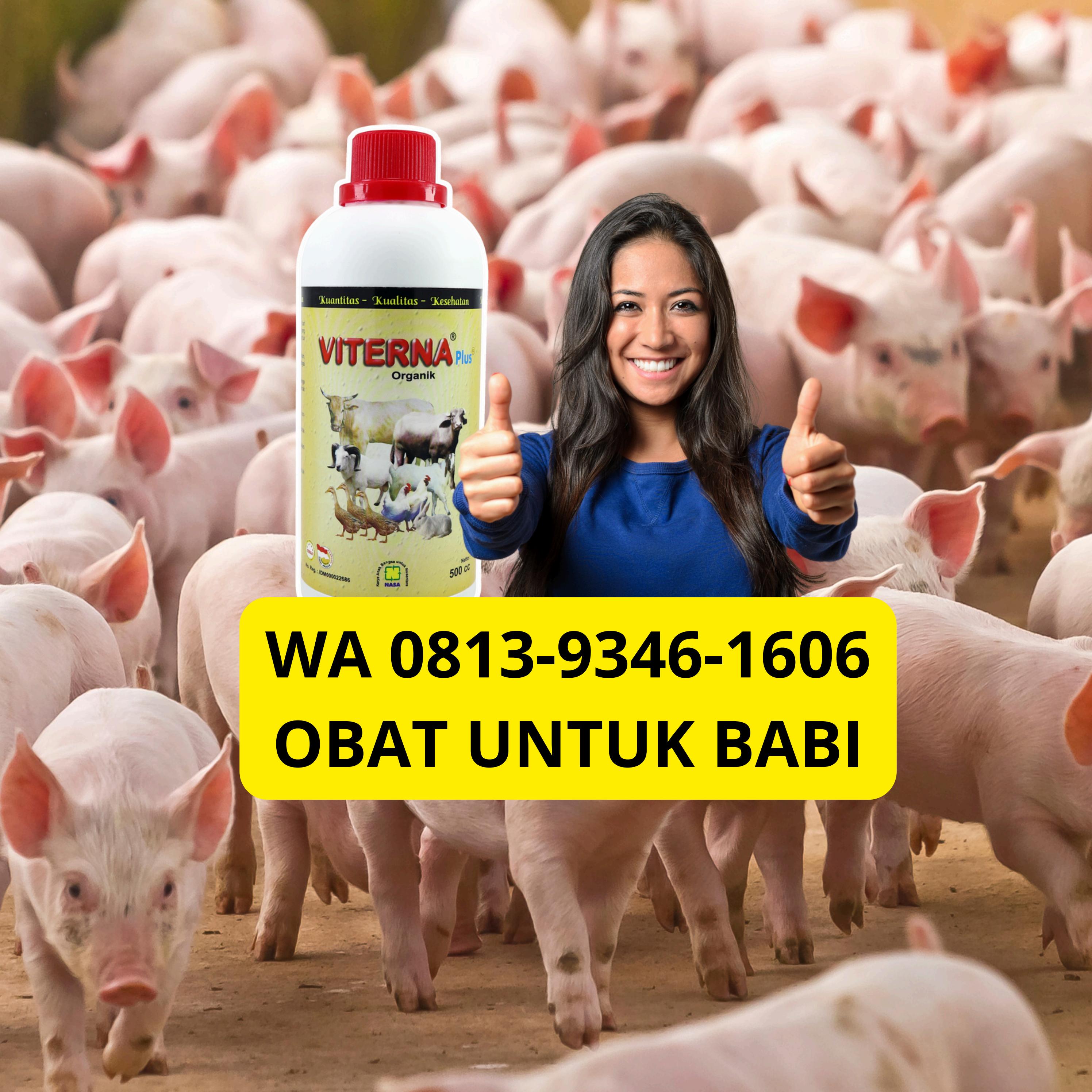 Obat untuk babi by Vitamin ternak organik - Issuu