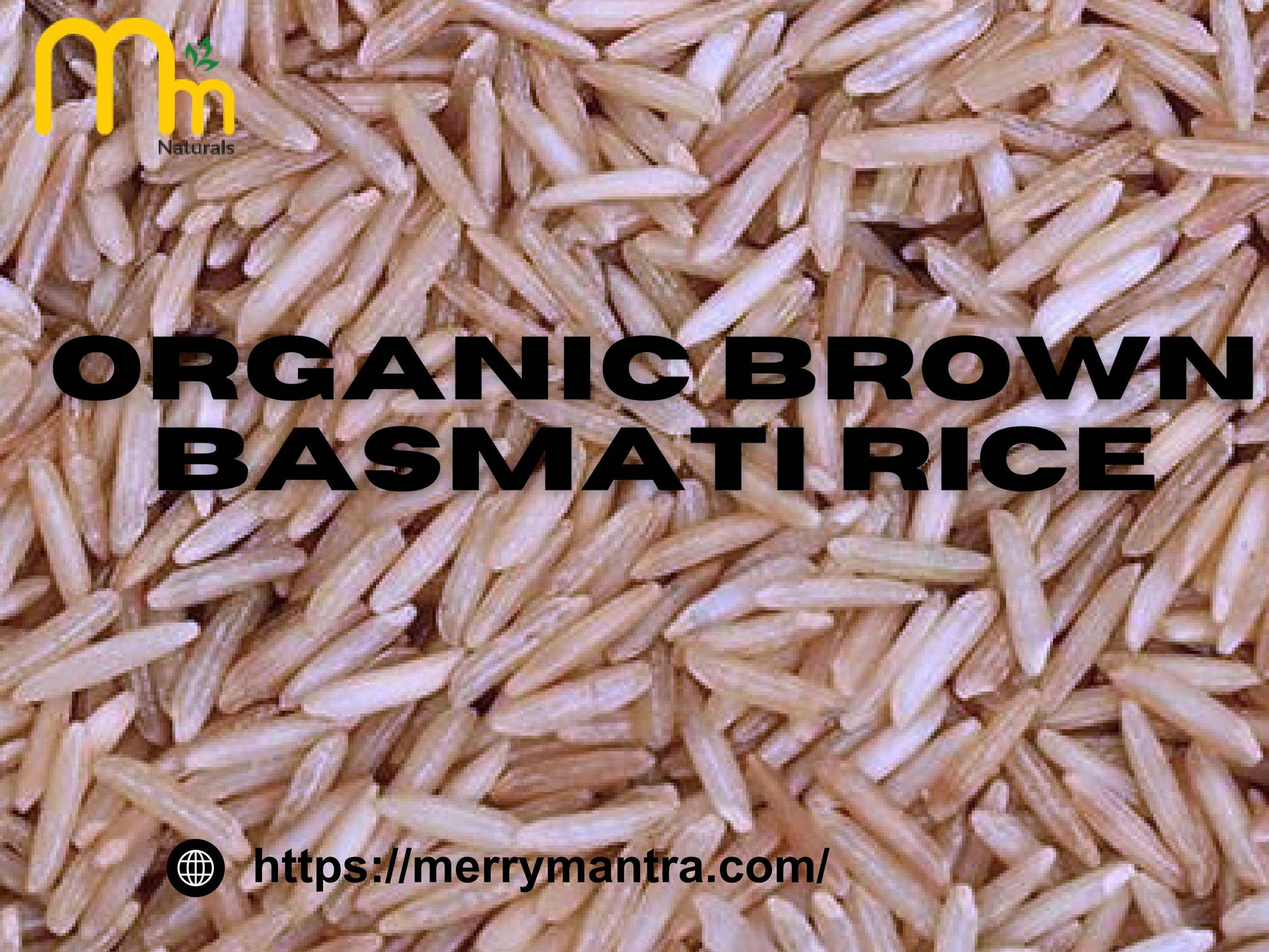 Organic Brown Basmati rice by Buy Organic White Basmati Rice 10lb 25 ...