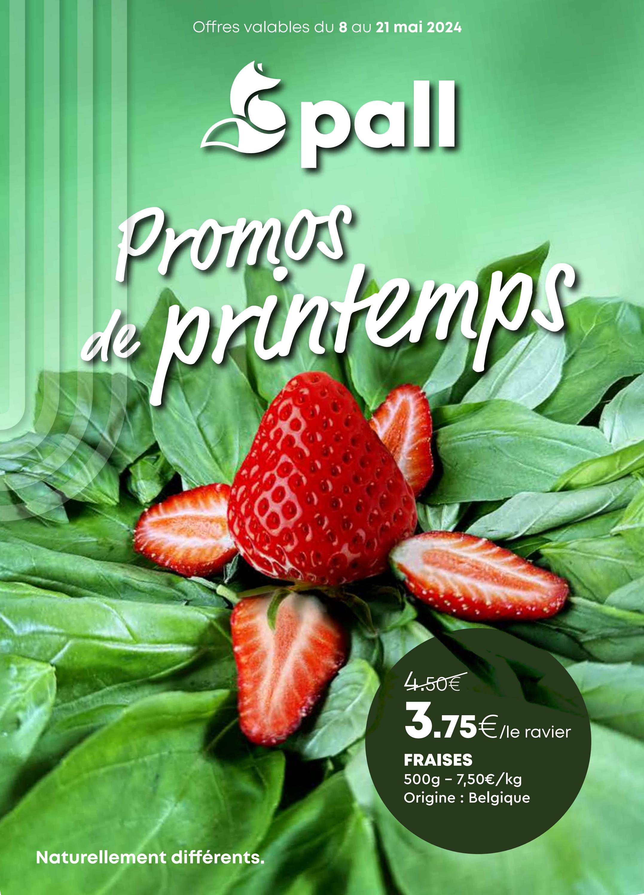 Folder printemps by PallCenter - Issuu