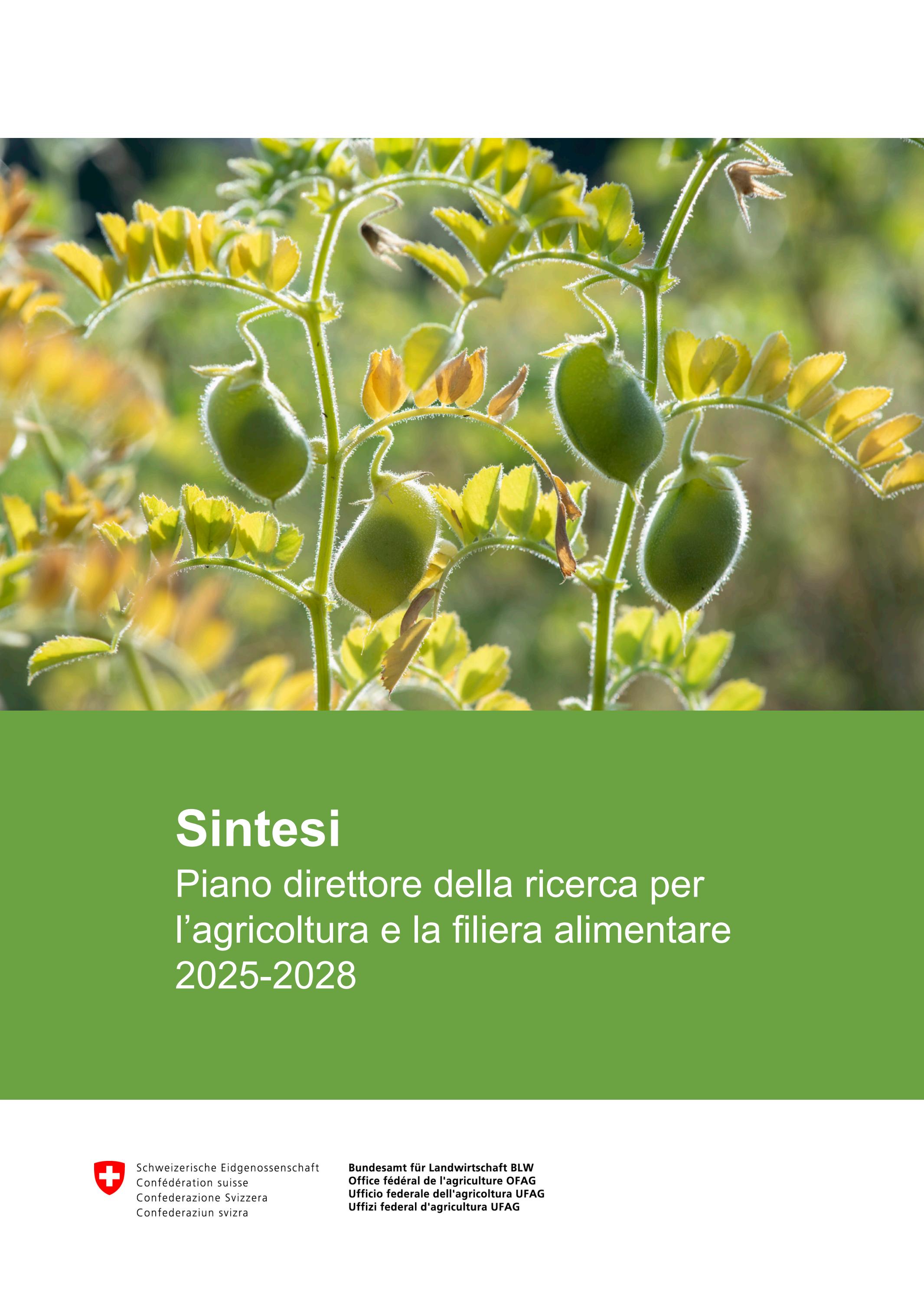Sintesi Piano direttore della ricerca per l’agricoltura e la filiera ...