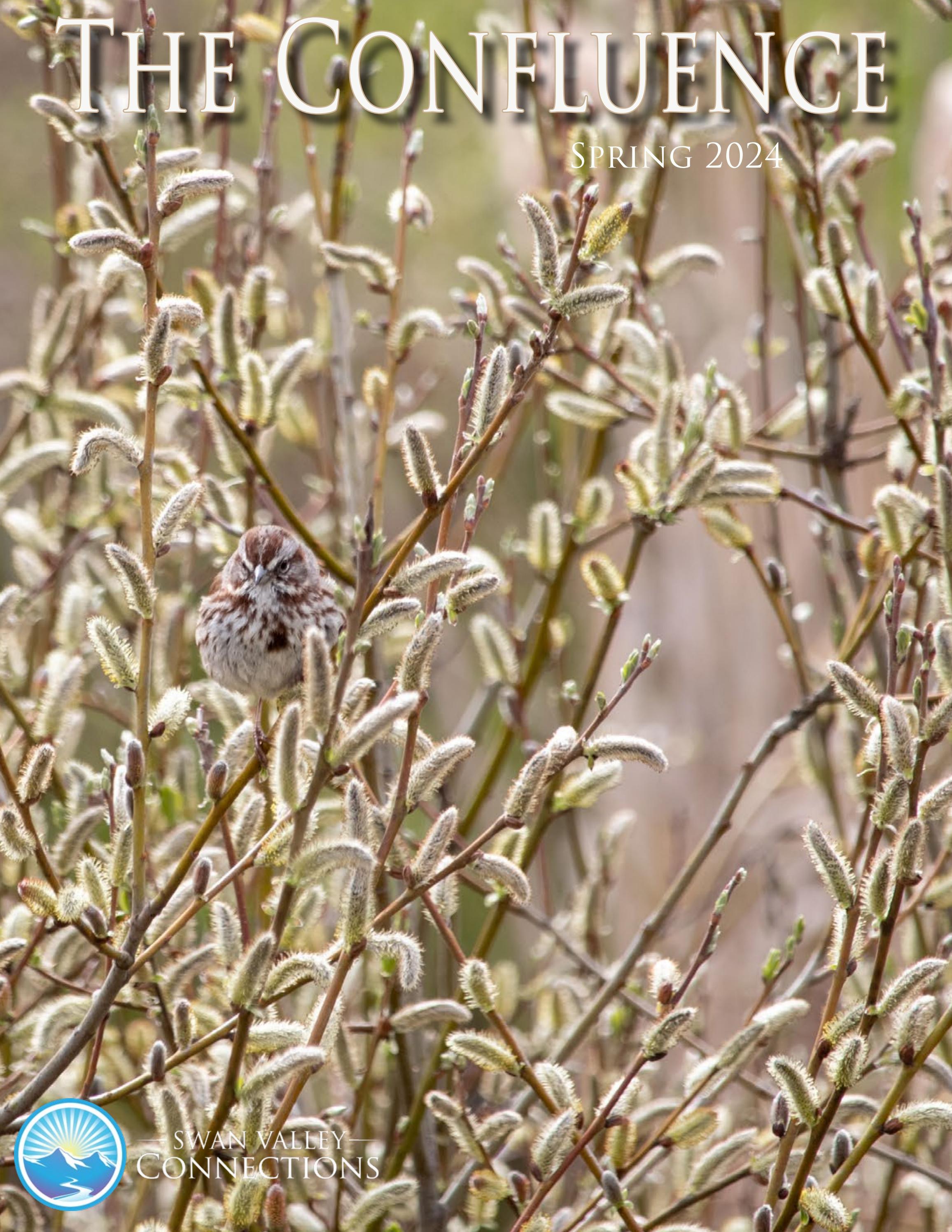 The Confluence, Spring 2024 by Swan Valley Connections - Issuu