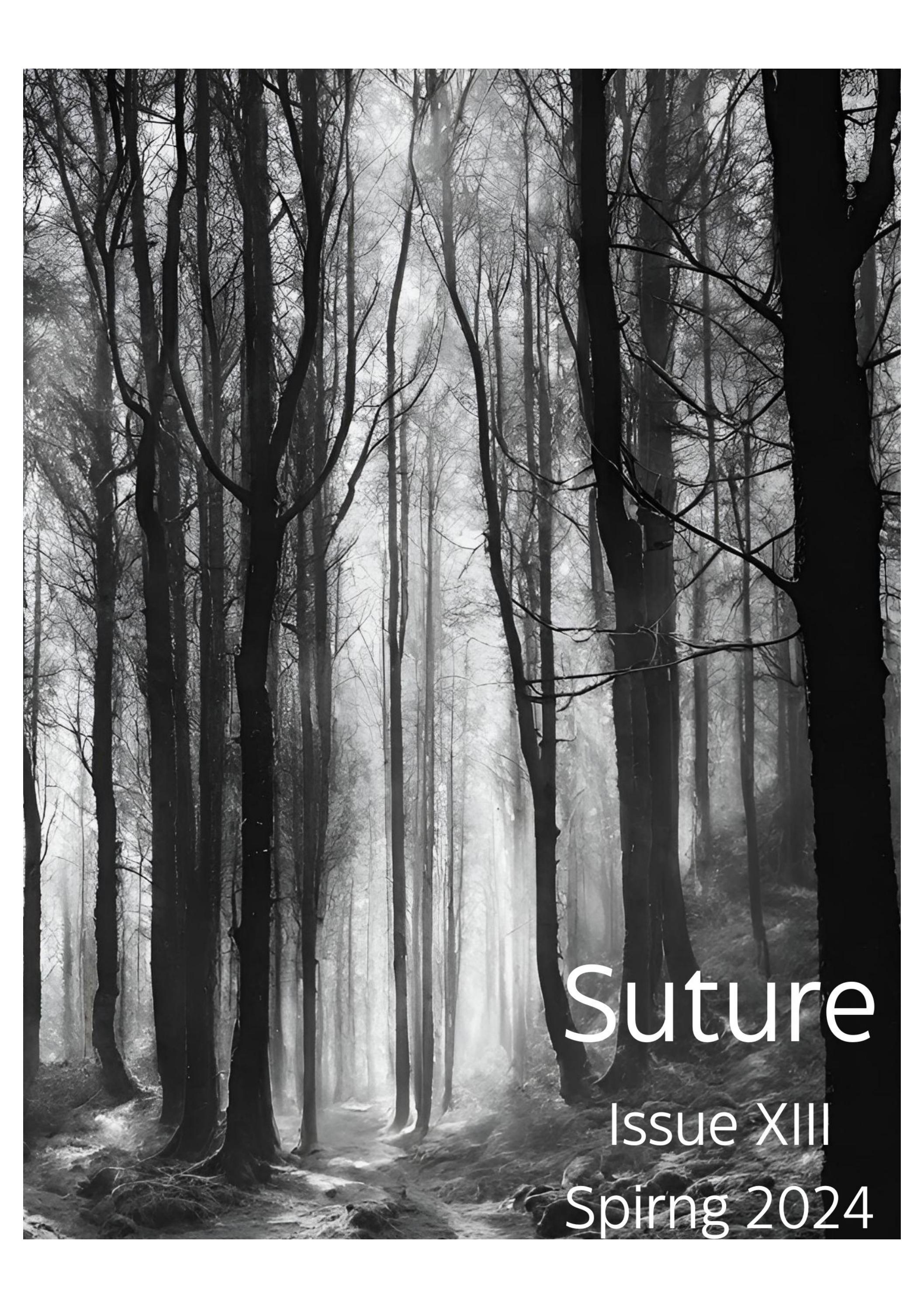 Suture Issue XIII by SutureHamiltonCollege - Issuu