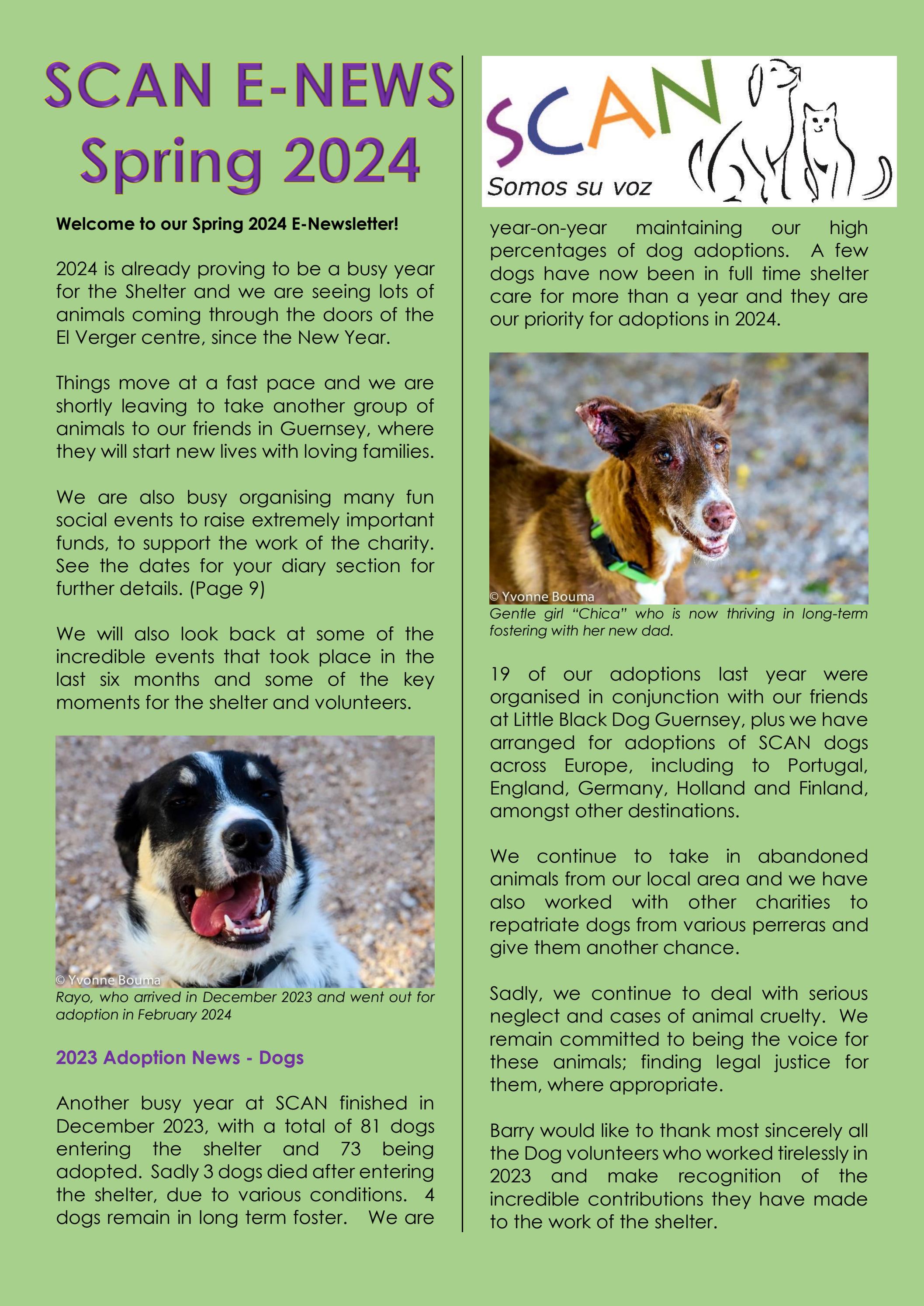 SCAN Spring Newsletter 2024 by Lisa Helen Ayling - Issuu