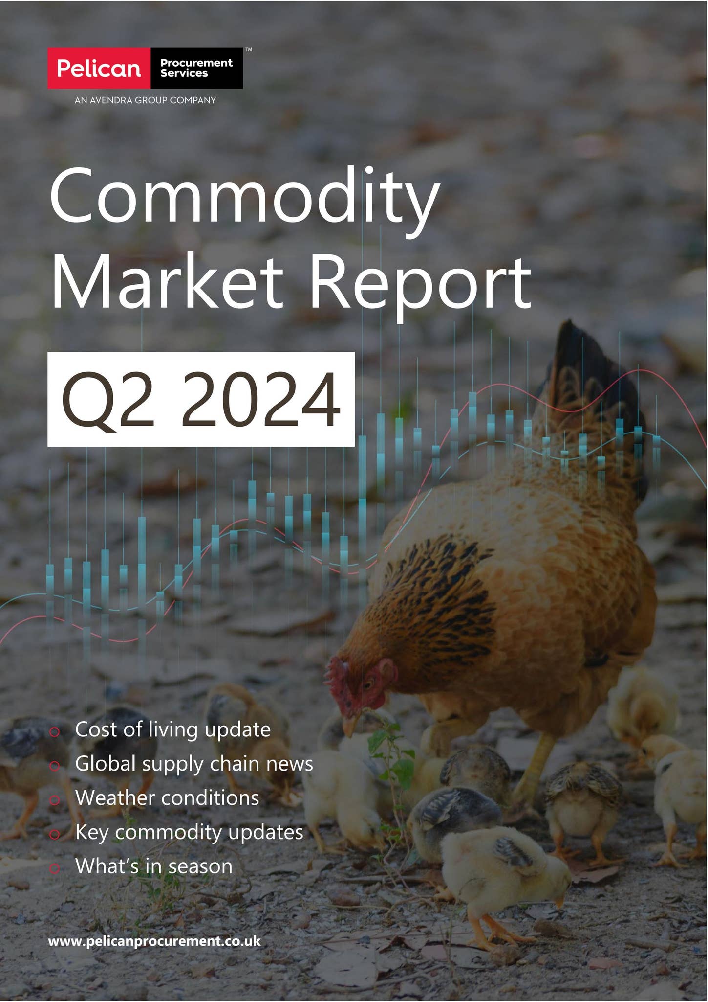 Pelican Procurement Services Market Report Q2 2024 by Avendra ...