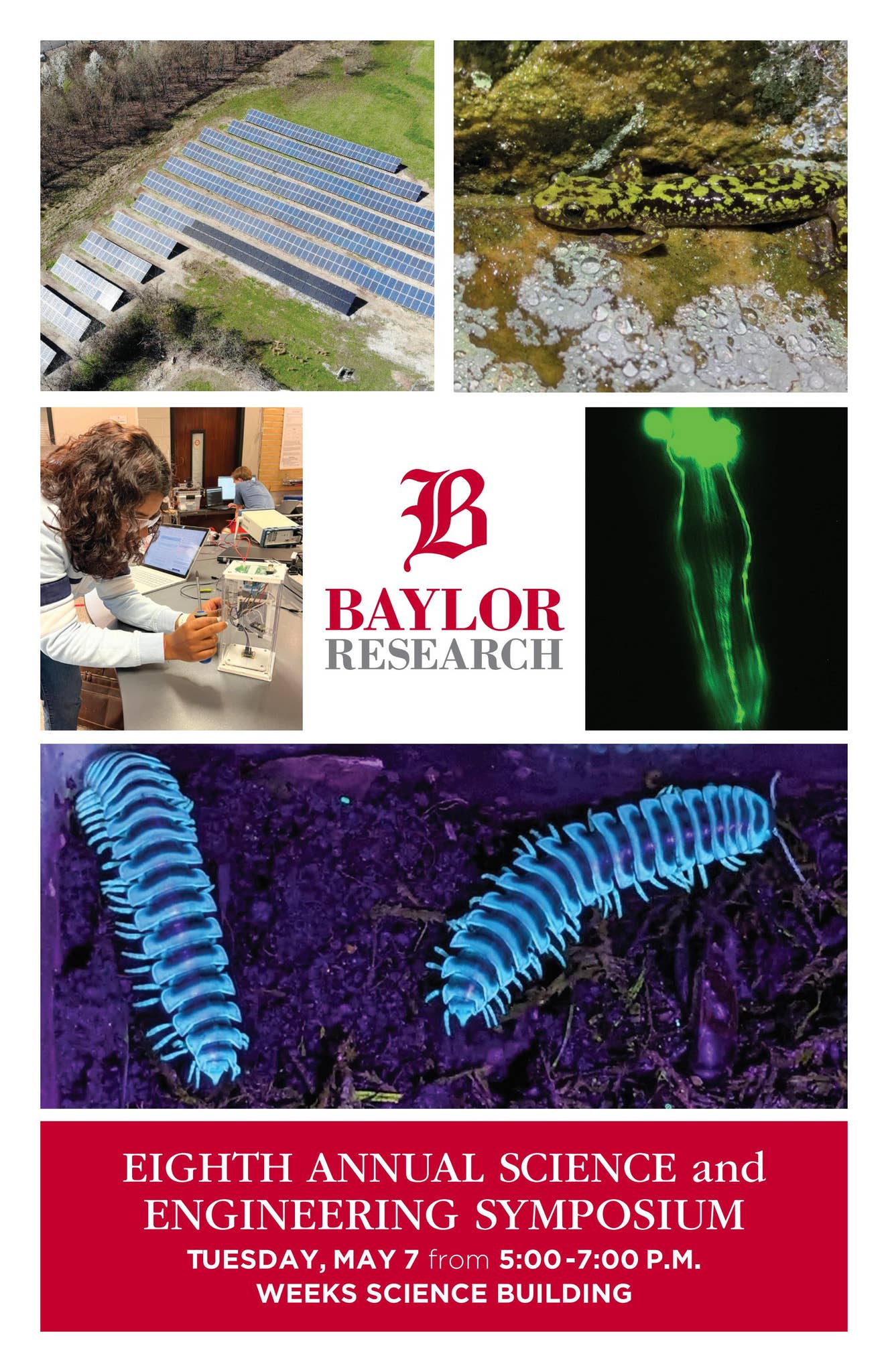 2024 Baylor Science and Engineering Symposium by Baylor School - Issuu