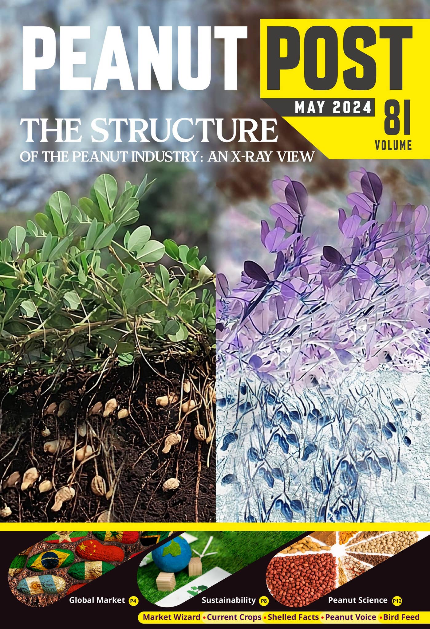 Peanut Post May-24 by Agrocrops - Issuu