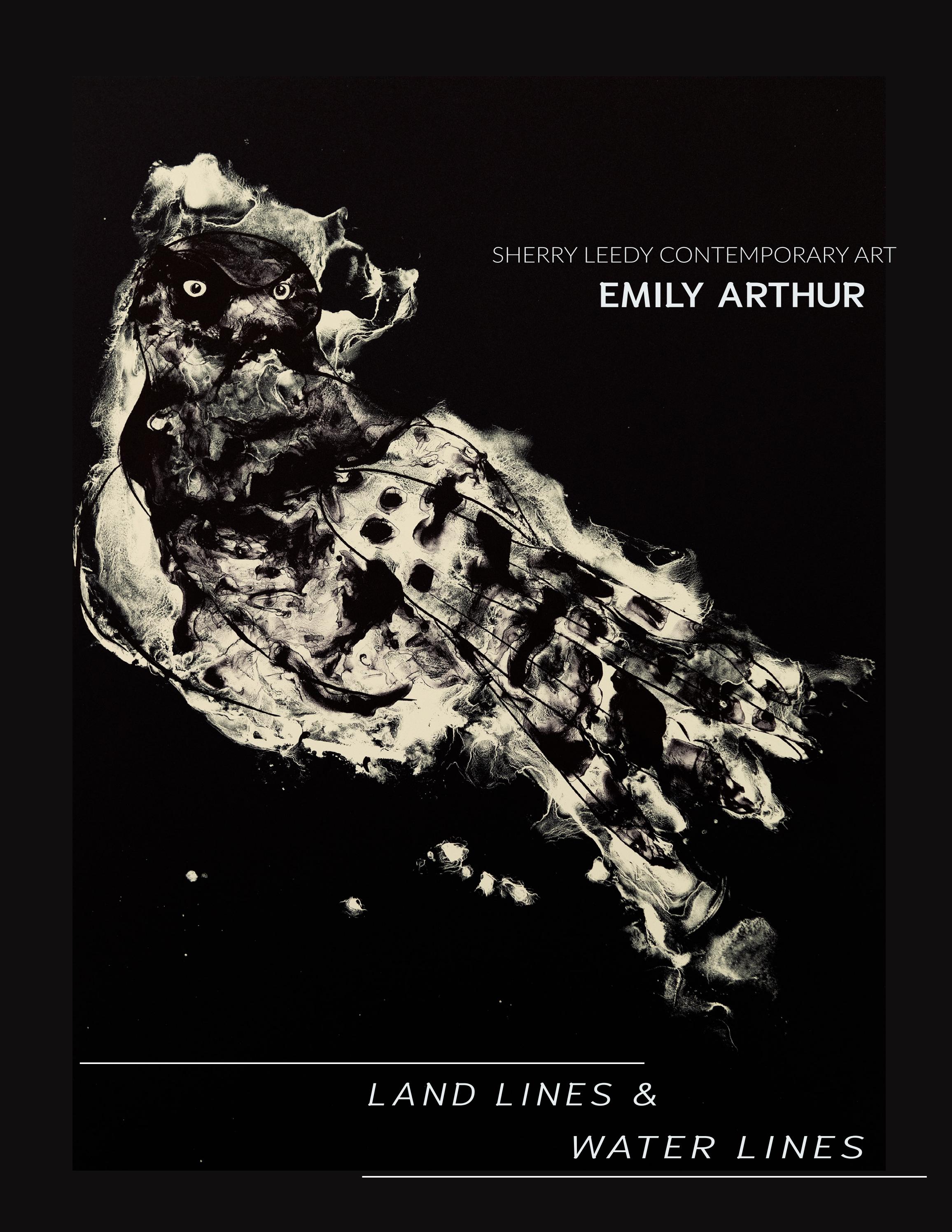 Emily Arthur: Land Lines and Water Lines exhibition Catalog by Sherry ...