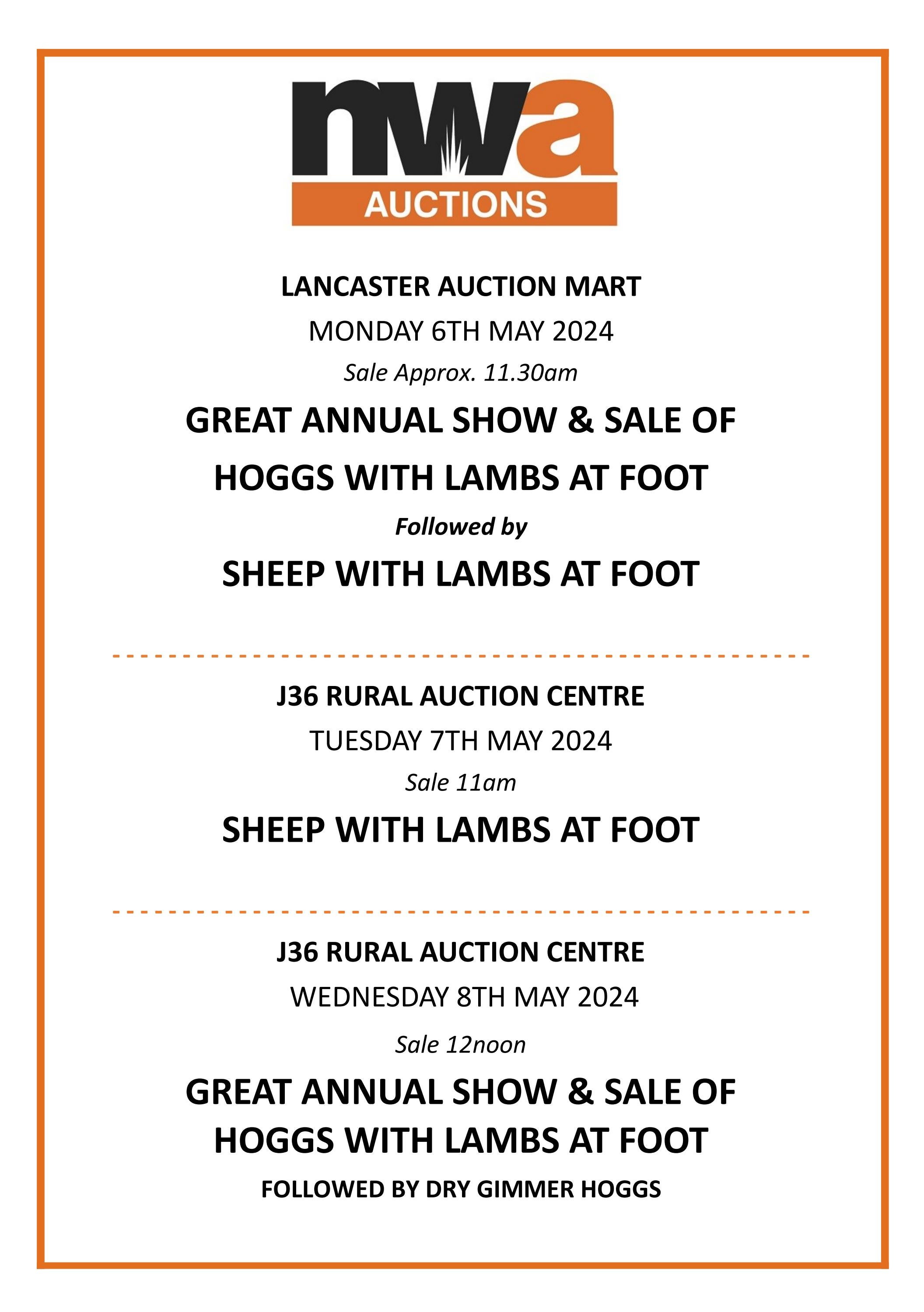 J36 Sheep with Lambs at Foot by North West Auctions - Issuu