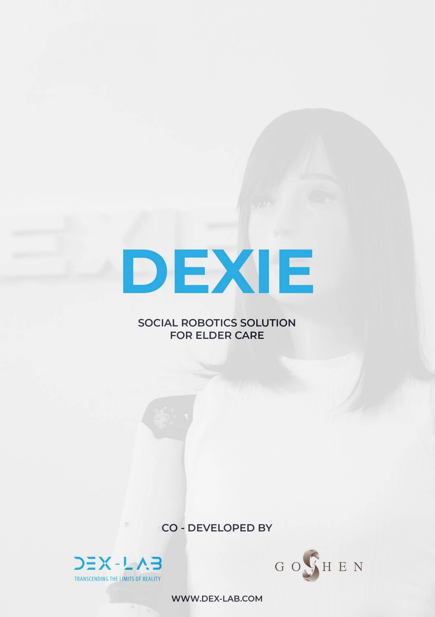 Dex-Lab Brochure by John Paulo - Issuu
