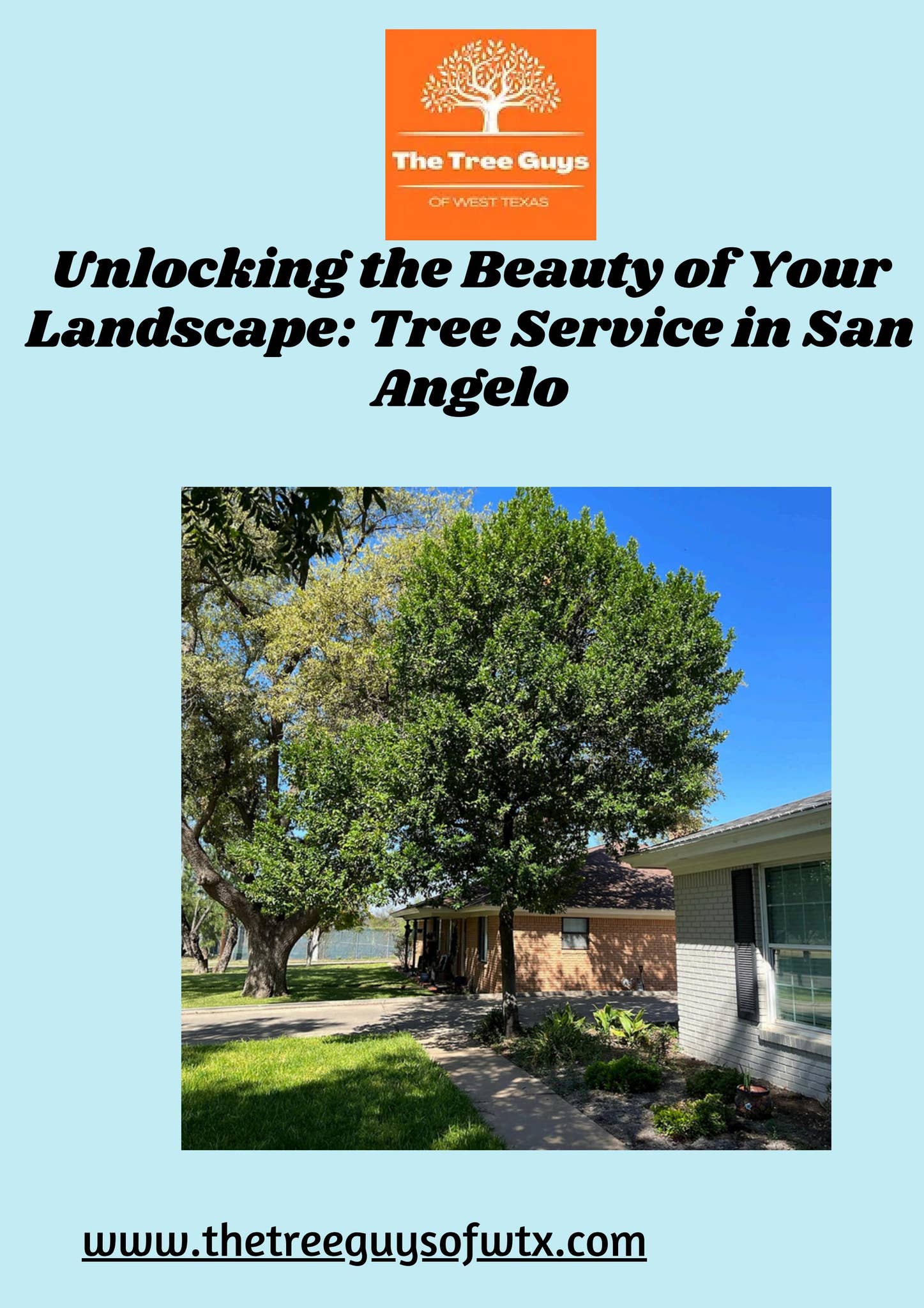 Unlocking the Beauty of Your Landscape: Tree Service in San Angelo by ...