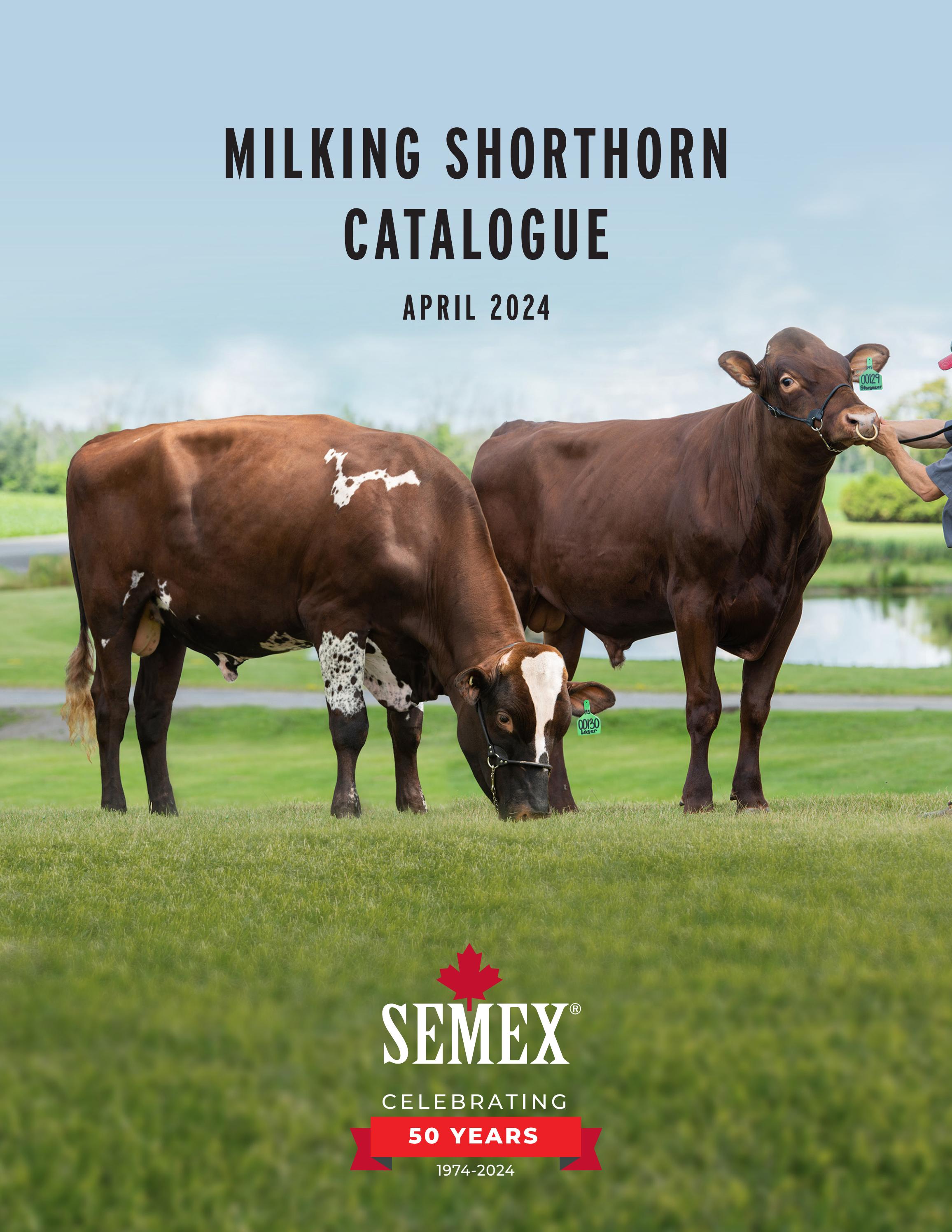 Semex - Milking Shorthorn Catalogue - April 2024 by Semex - Issuu