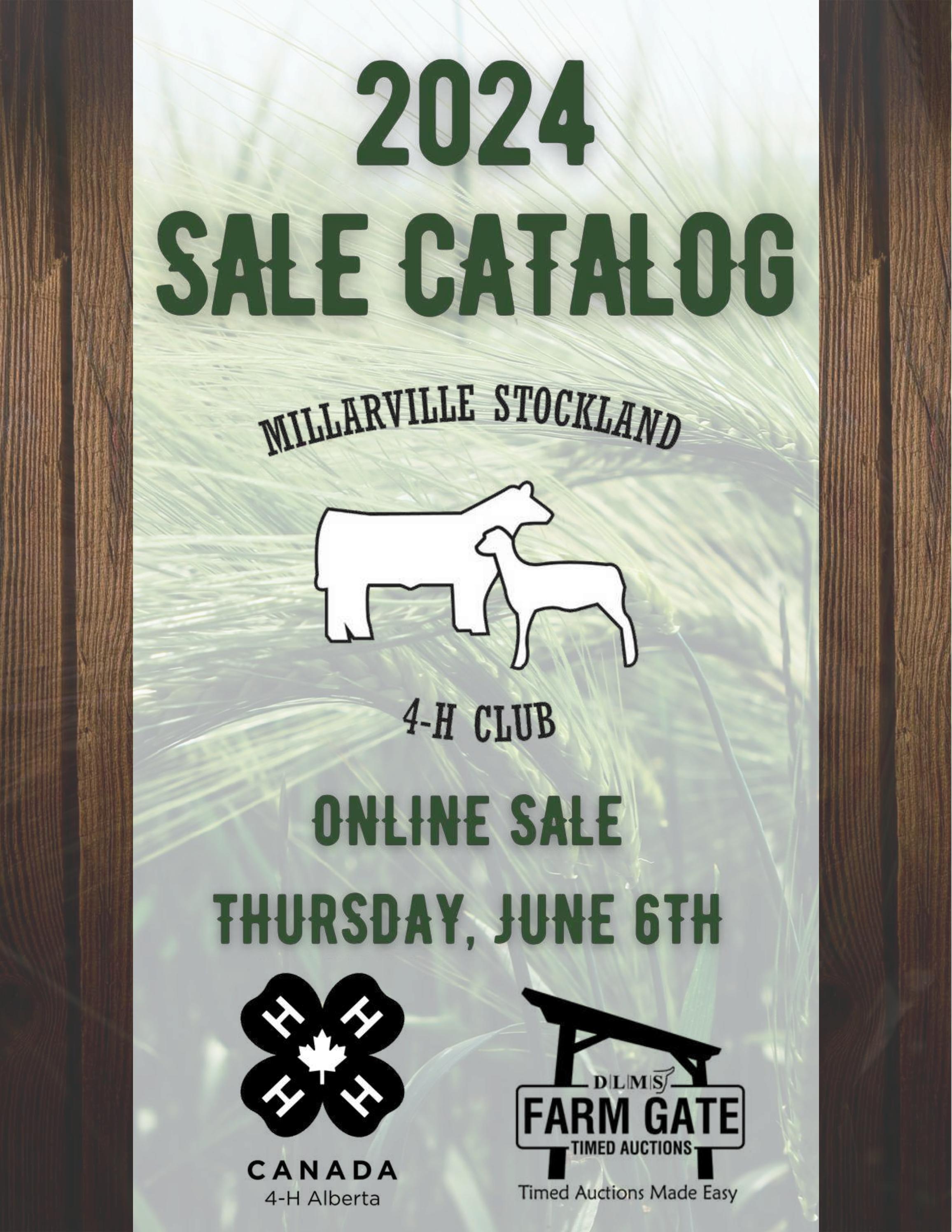 Millarville Stockland 4-H Steer & Lamb Sale 2024 - DLMS Farm Gate Timed ...