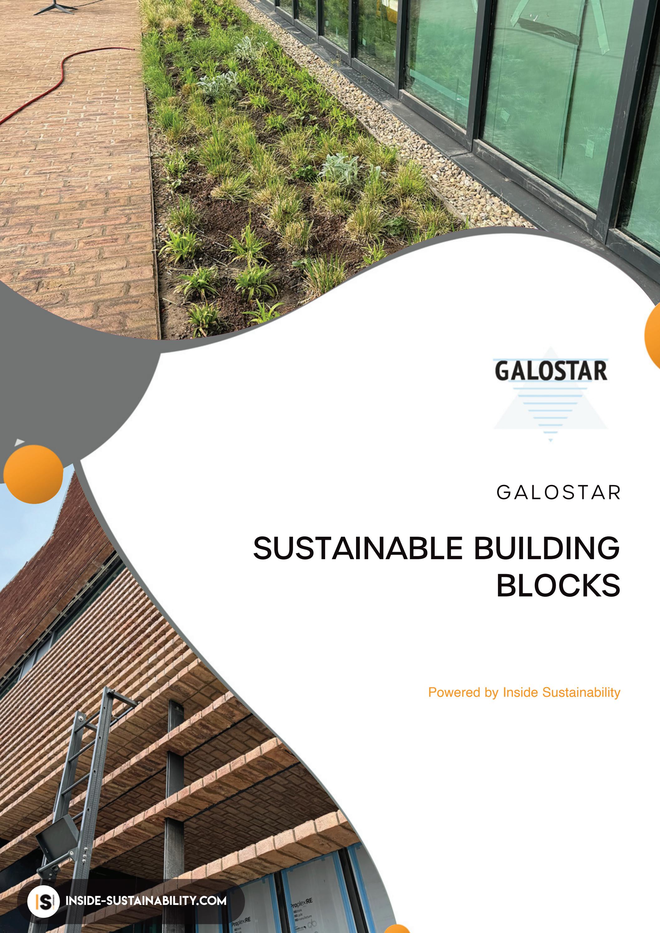 Galostar by ProactivePublications - Issuu