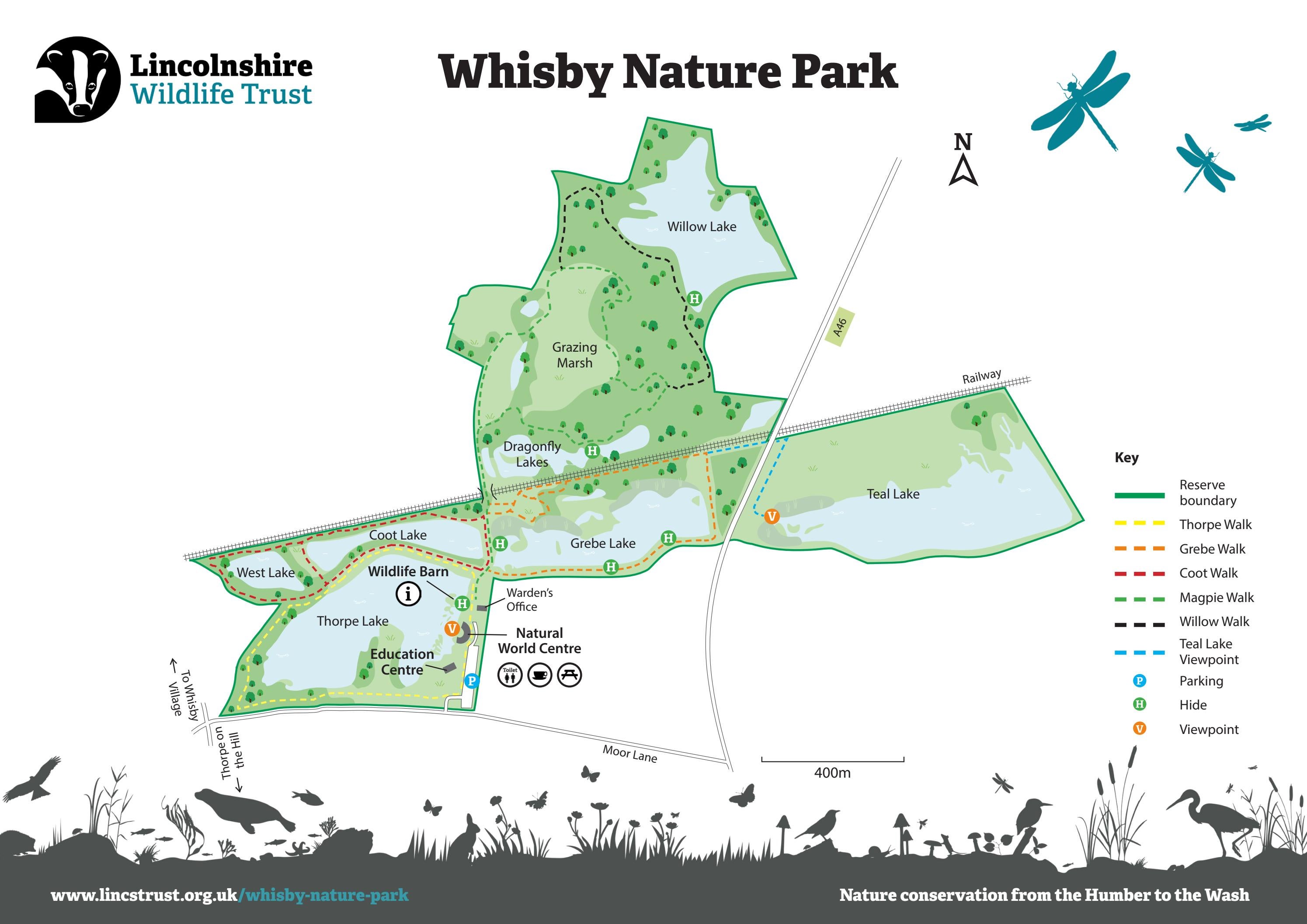 Whisby Nature Park map by Lincolnshire Wildlife Trust - Issuu