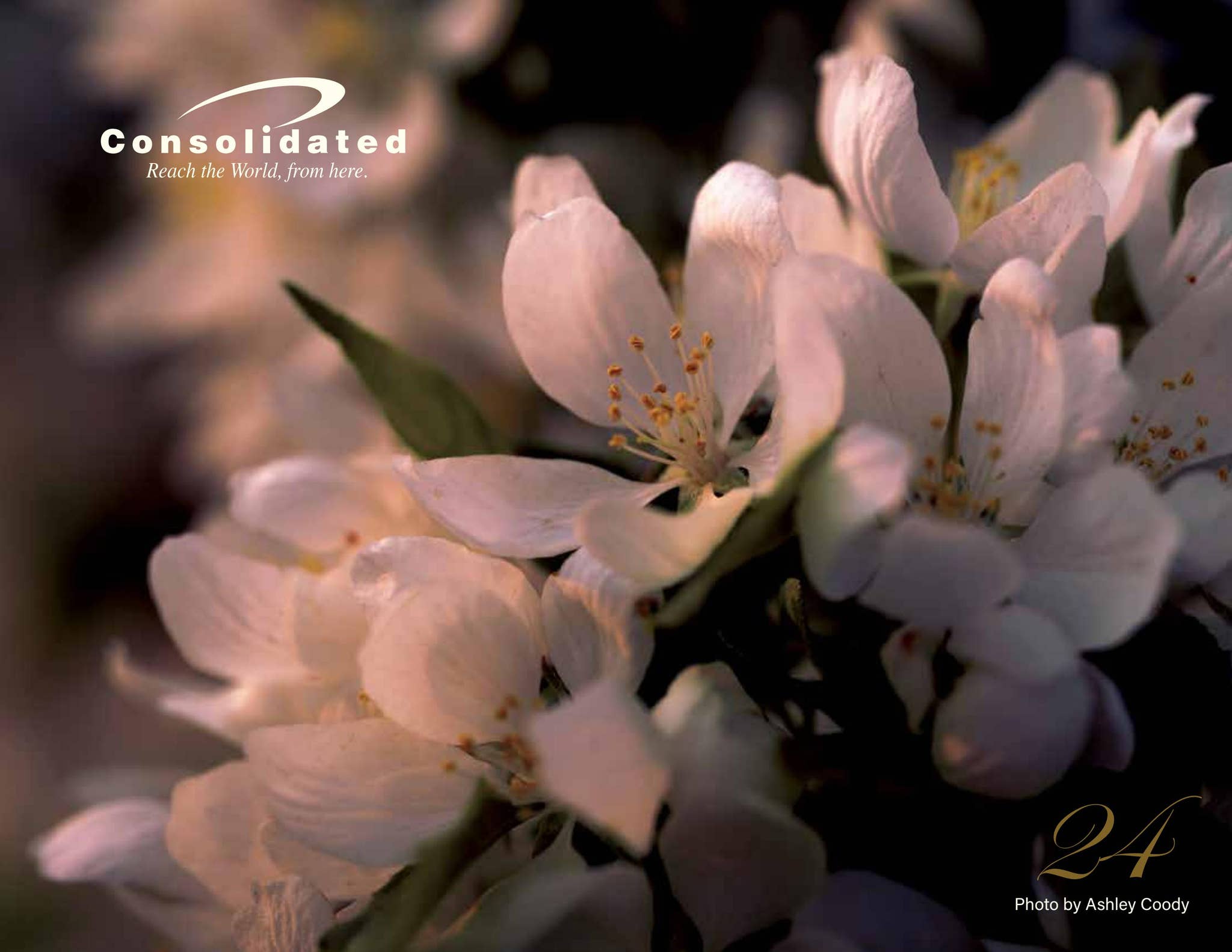 2024 Consolidated Telcom Calendar by Consolidated Telcom - Issuu