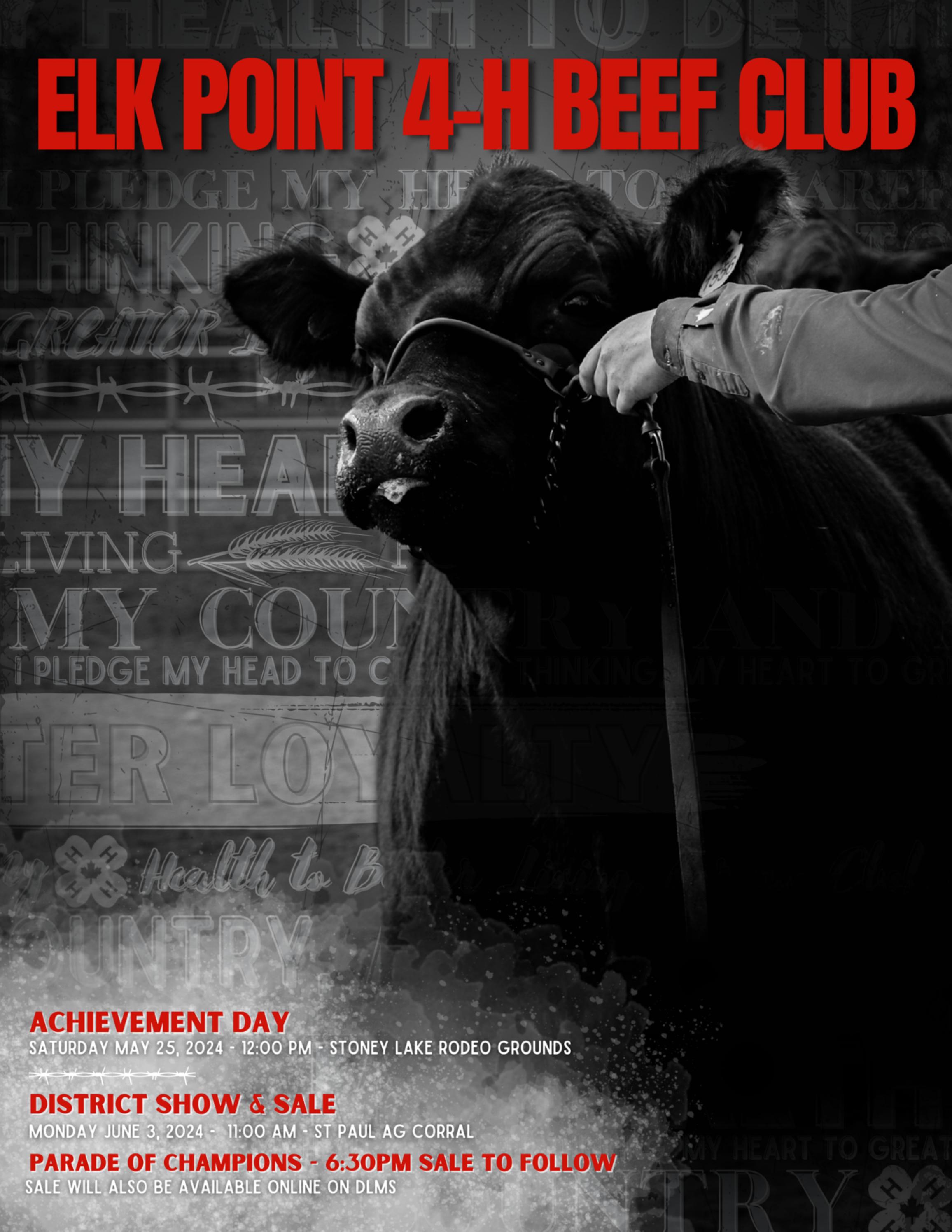 Elk Point 4-H Beef Club 2024 by Elk Point 4-H Beef - Issuu