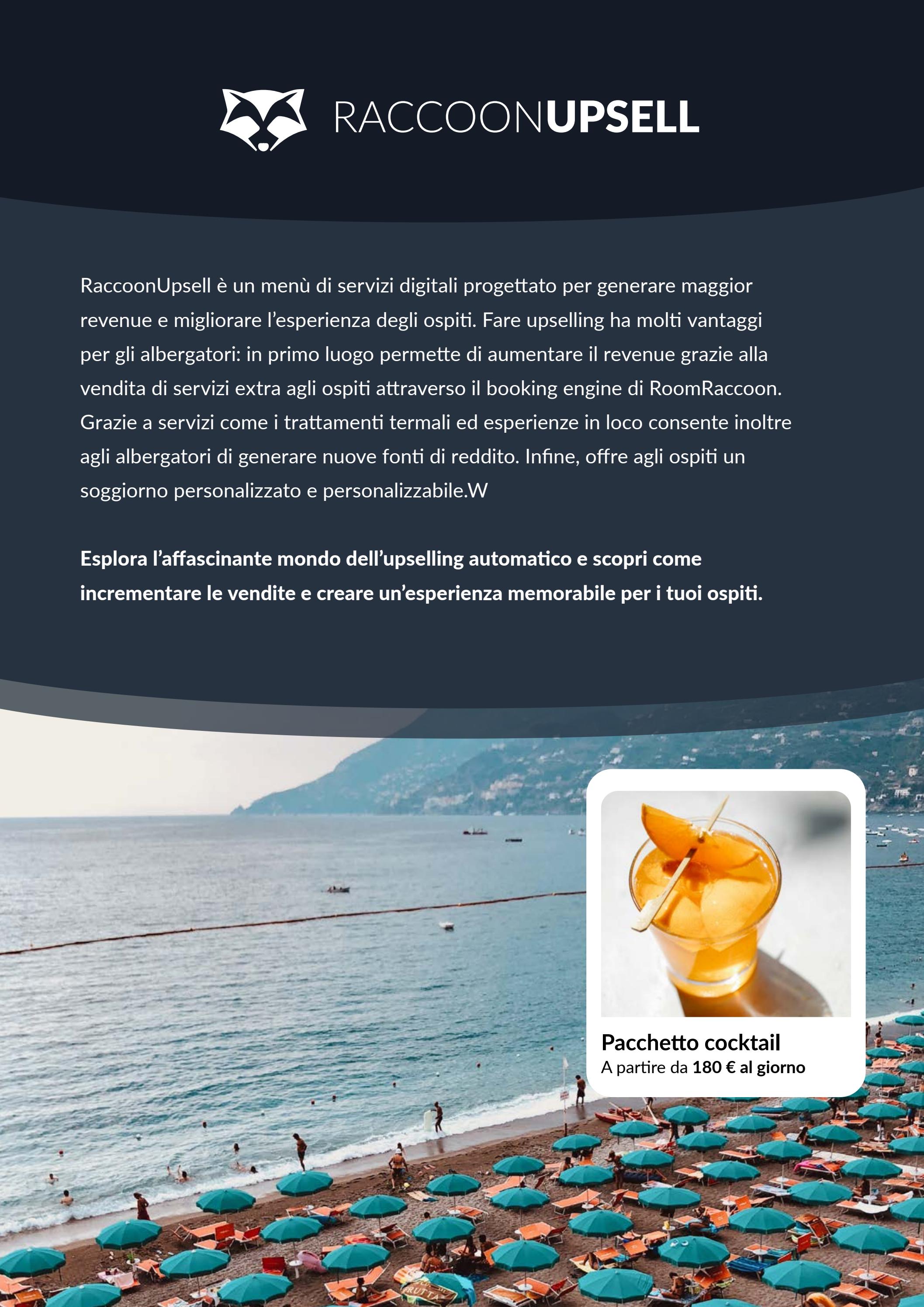 RaccoonUpsell IT by RoomRaccoon - Issuu