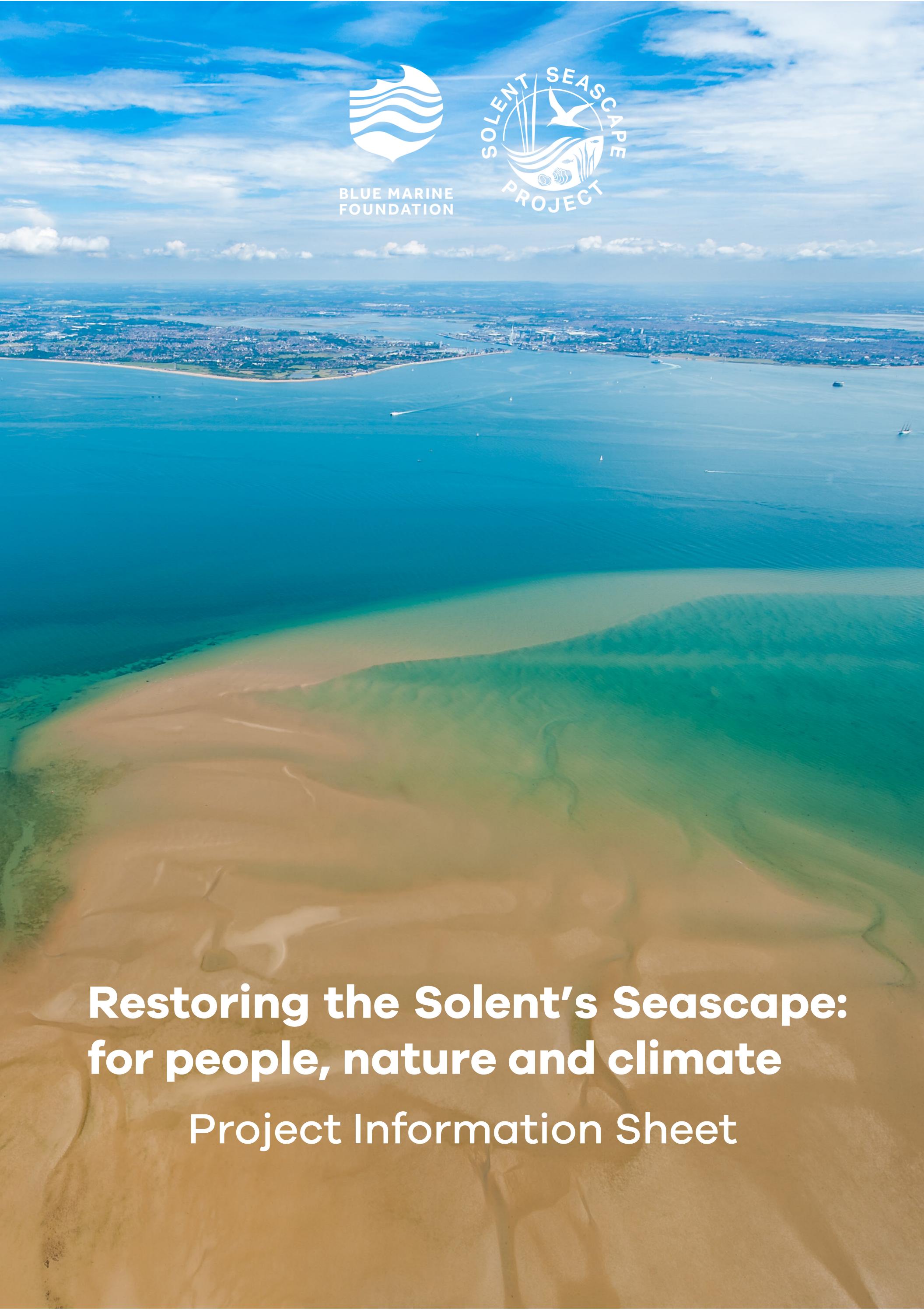 Solent Seascape Project - two pager by Blue Marine Foundation - Issuu