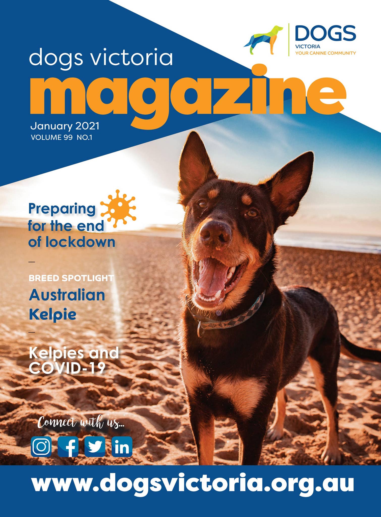 January 2021 Magazine by Dogs Victoria - Issuu