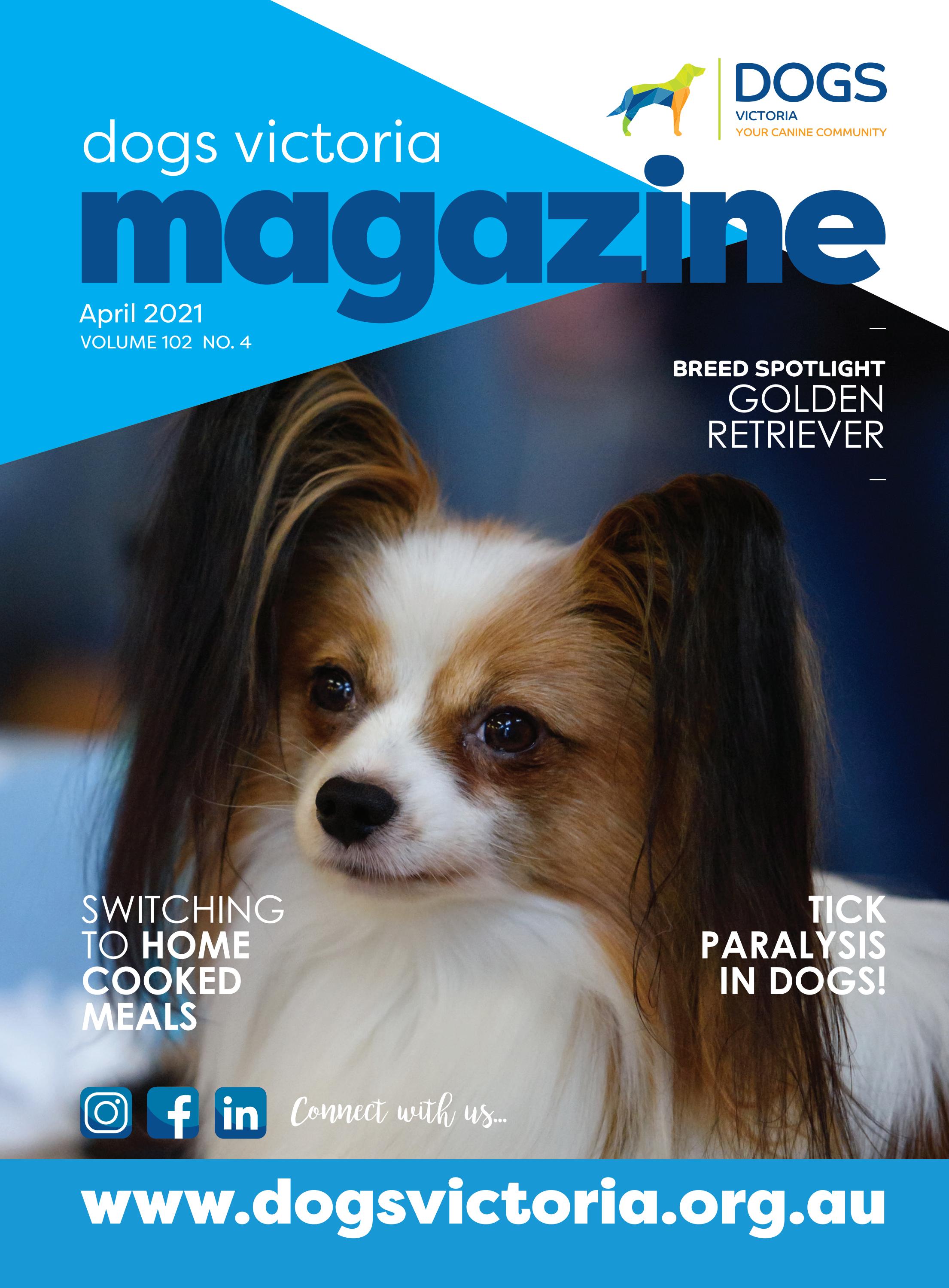 April 2021 Magazine by Dogs Victoria - Issuu