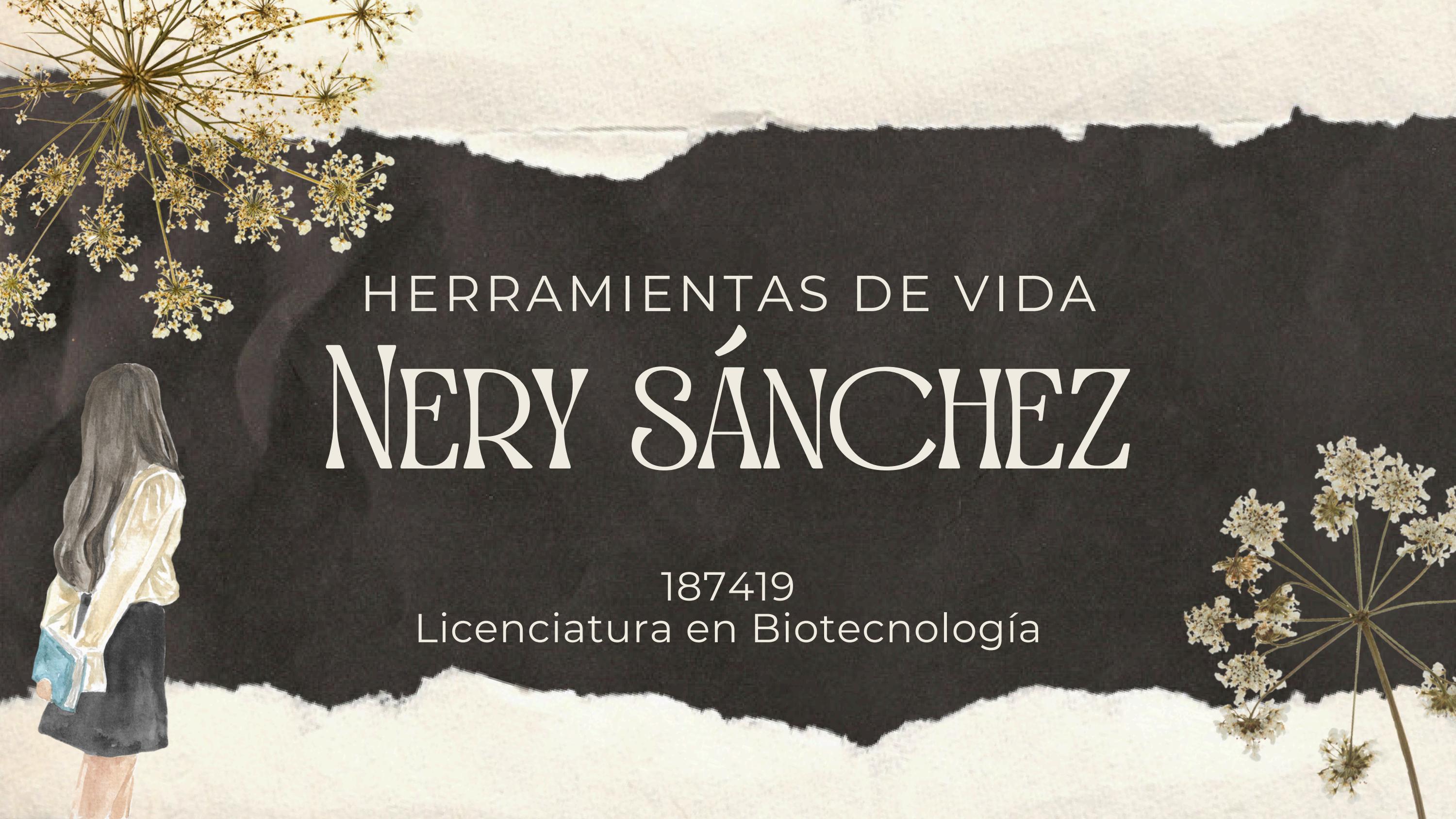 Diario de clase (Herramientas de vida) by Nery Suseth Sanchez Gonzalez ...