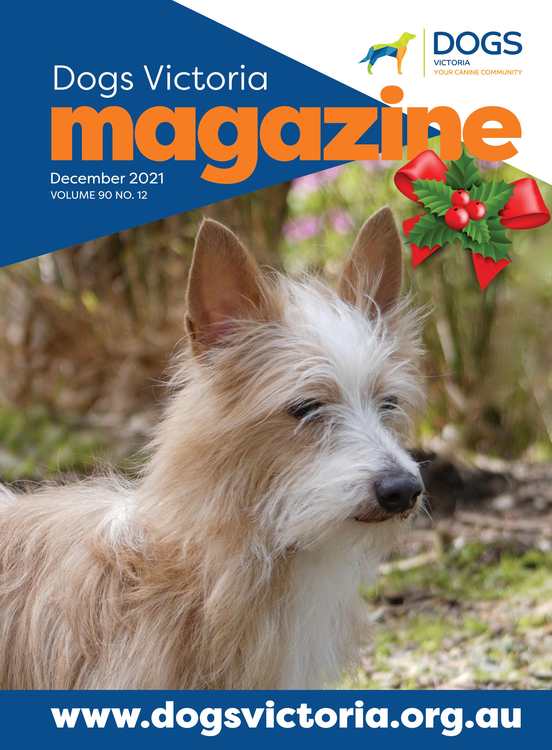 December 2021 Magazine by Dogs Victoria - Issuu