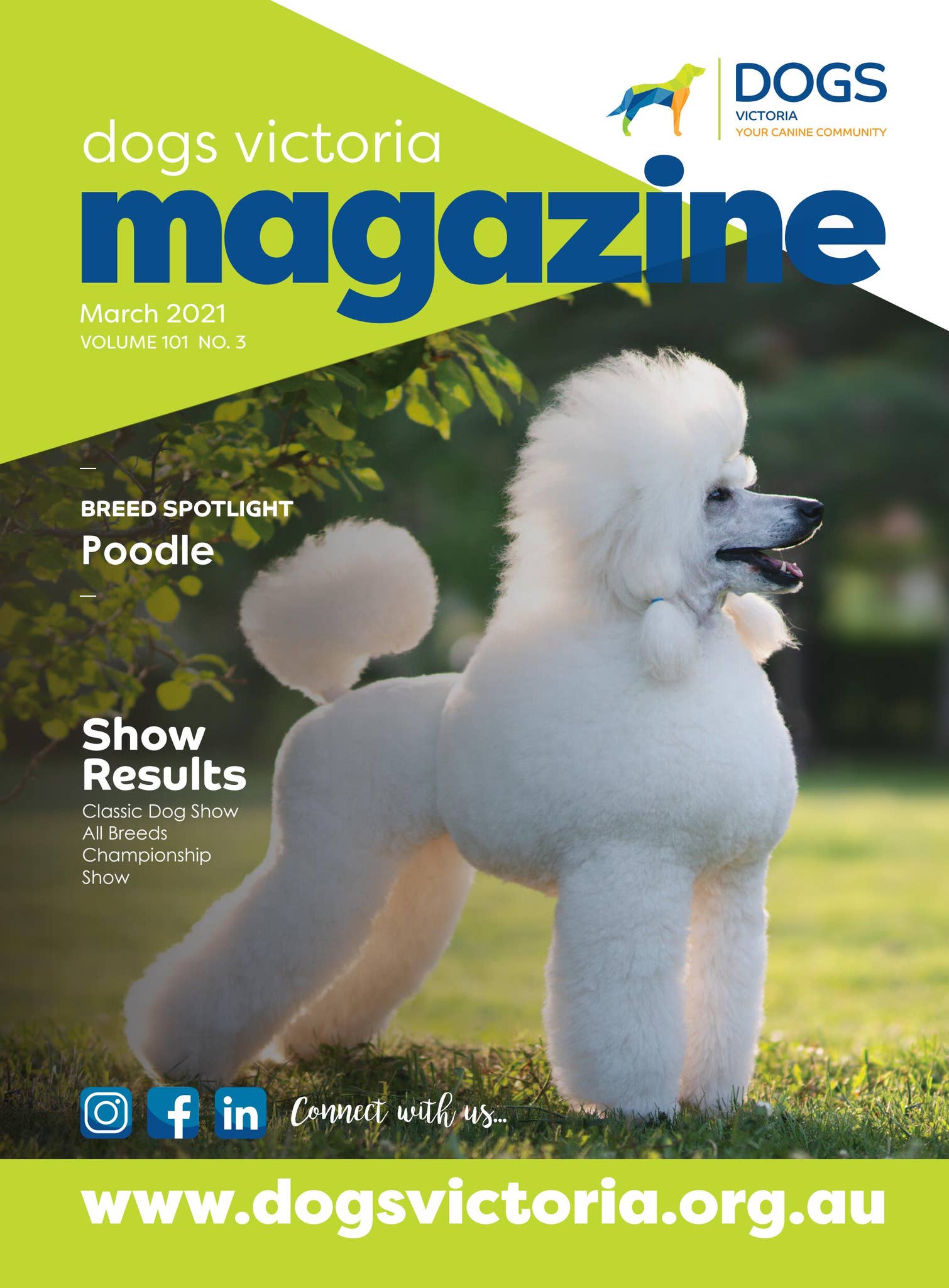 March 2021 Magazine by Dogs Victoria - Issuu