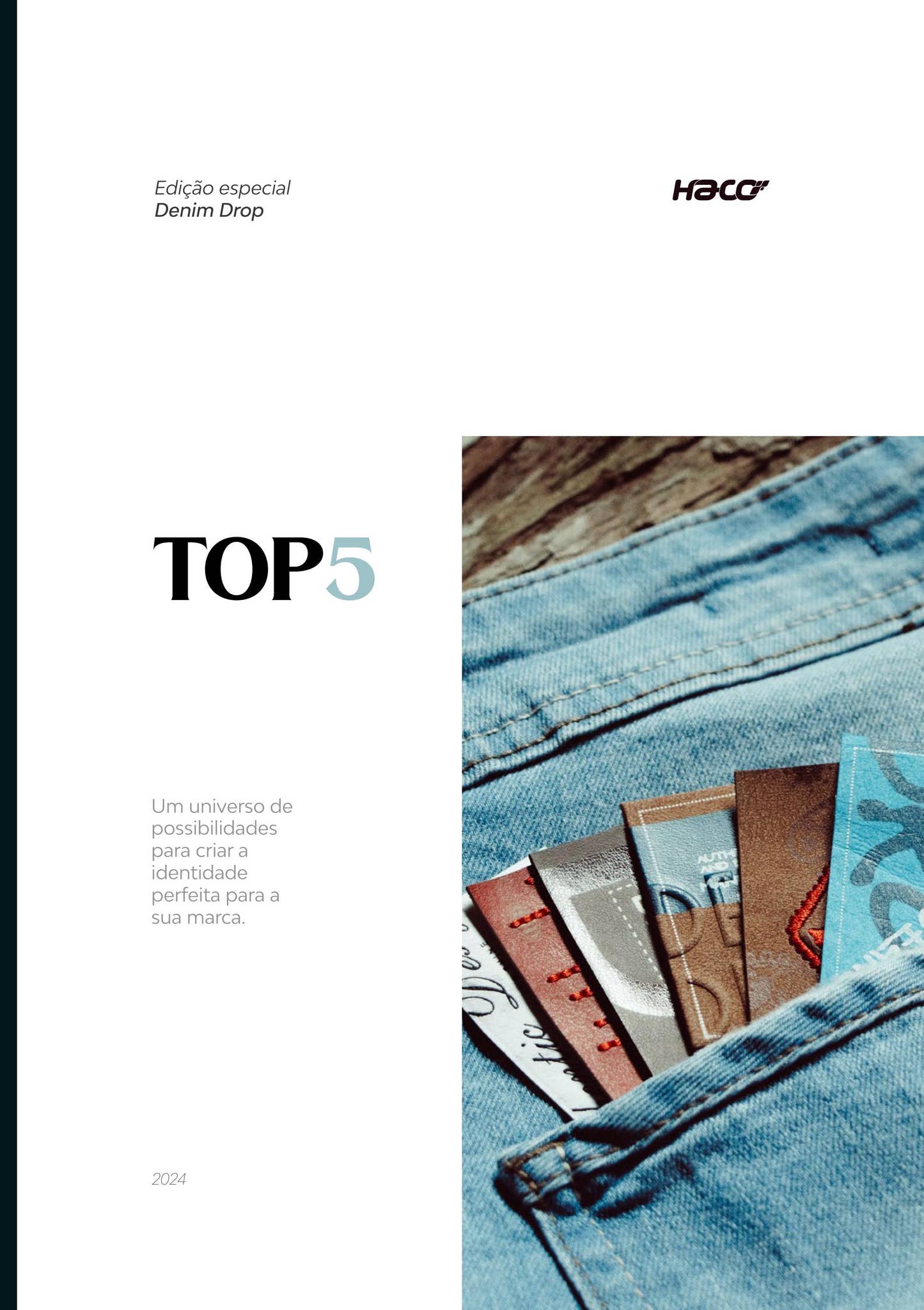 Top 5 Haco - Maio 2024 by Haco - Issuu