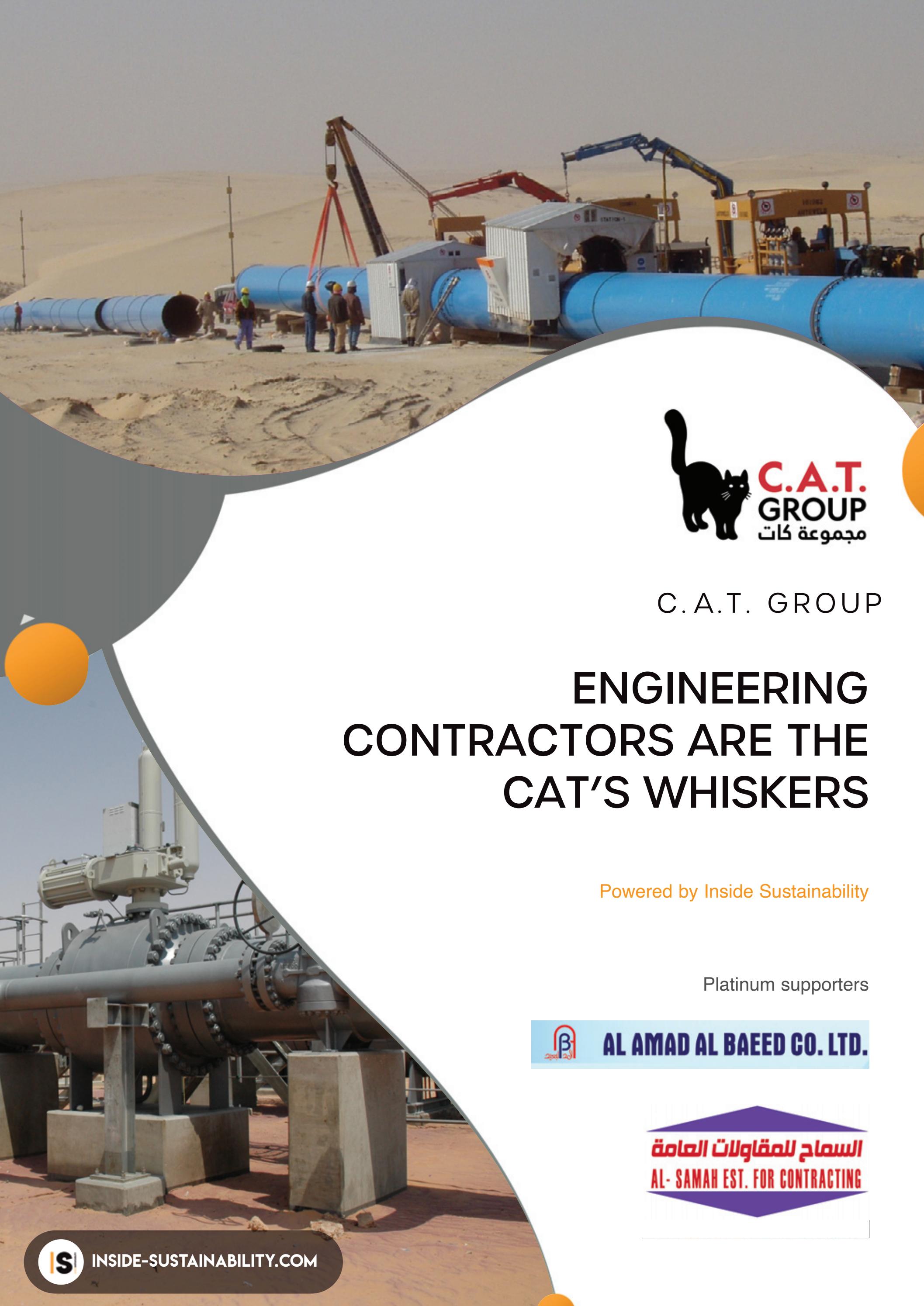 C.A.T. Group by ProactivePublications - Issuu