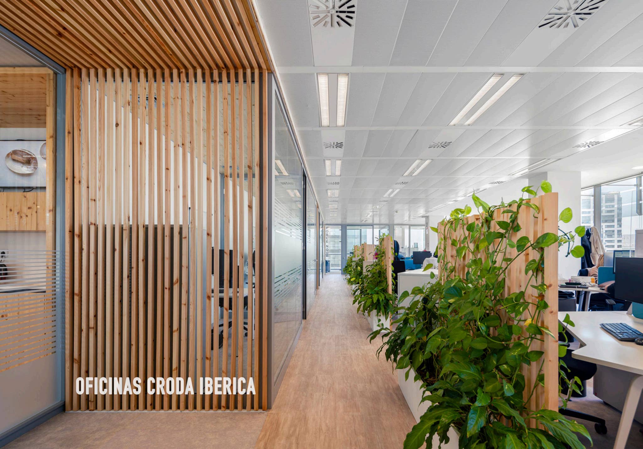 Oficinas CRODA Iberica | ROA by Simon Garcia - Issuu