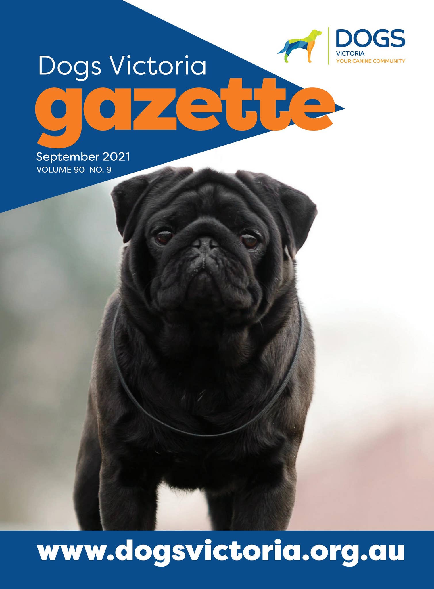 September 2021 Gazette by Dogs Victoria - Issuu