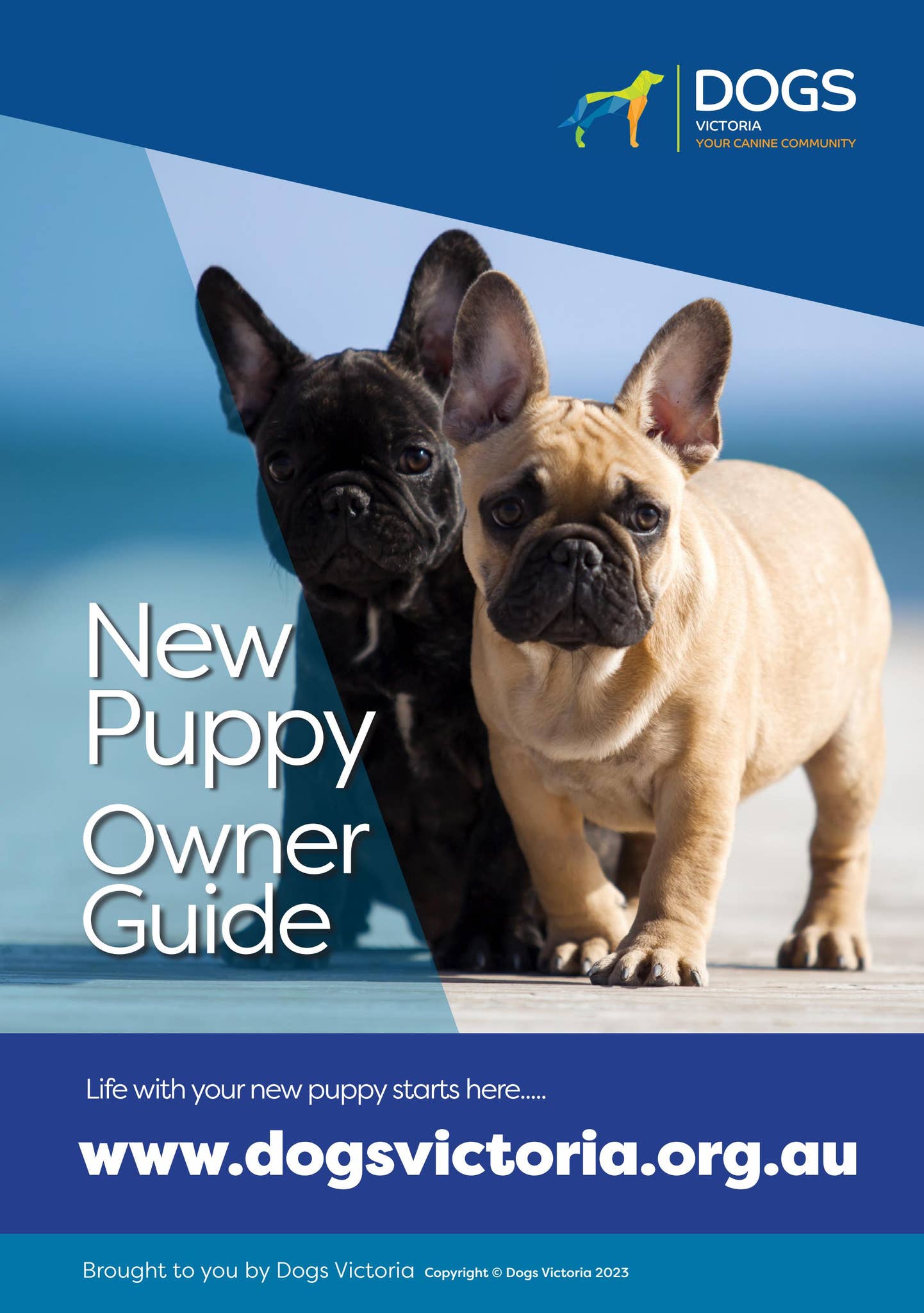 New Puppy Owner Guide by Dogs Victoria - Issuu
