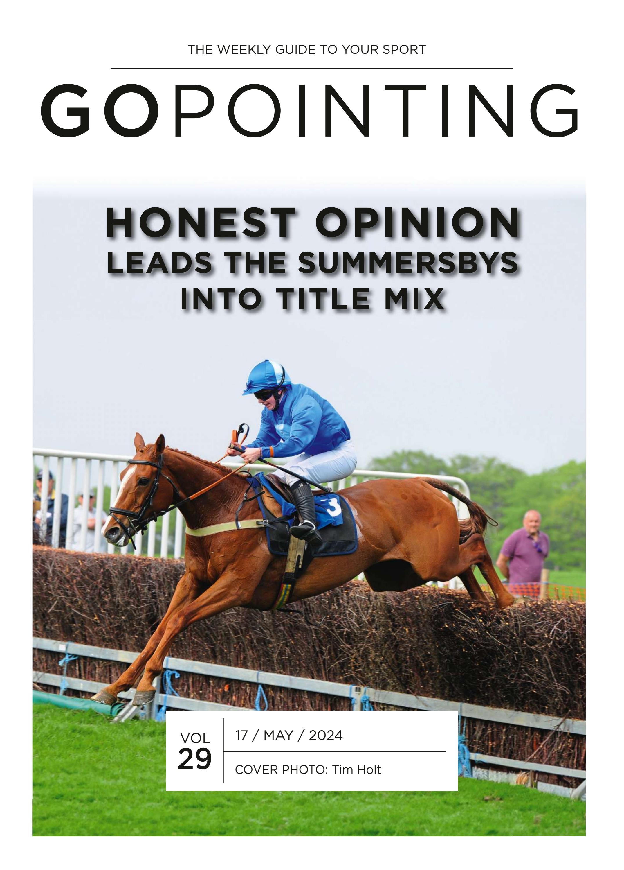 Go Pointing - Vol 29 by GOPOINTING - Issuu