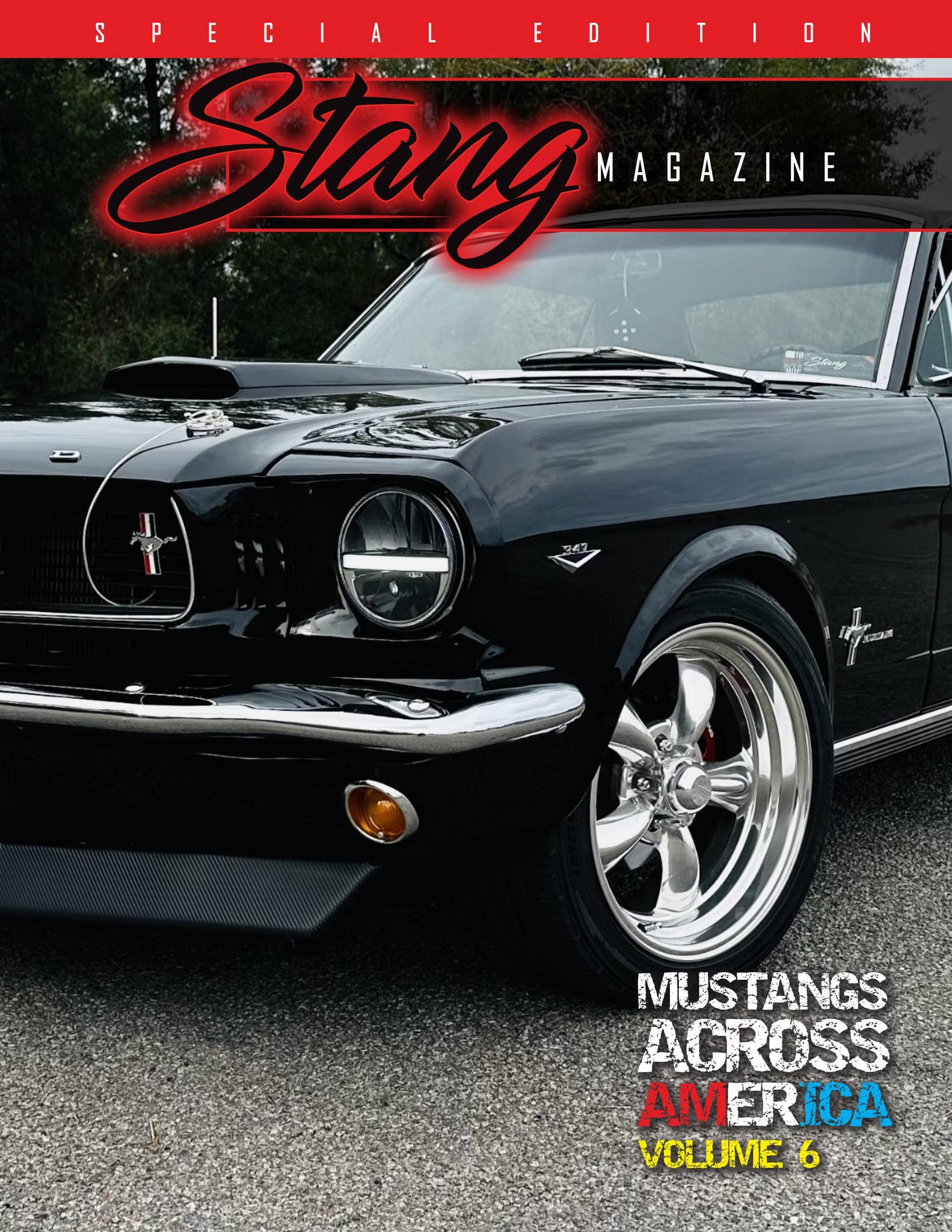 STANG Magazine Special Edition Issue: Mustangs Across America Volume 6 ...