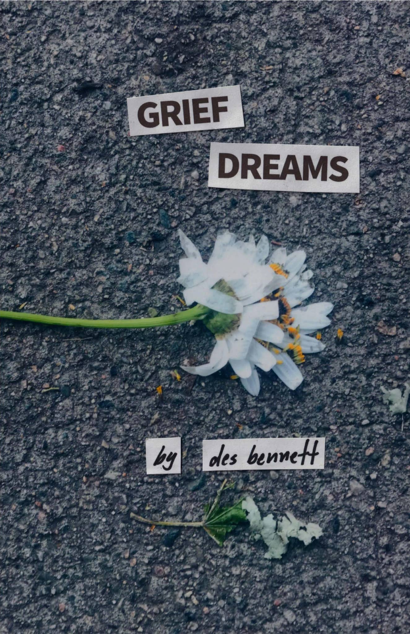 Grief Dreams by Des Bennett - Issuu