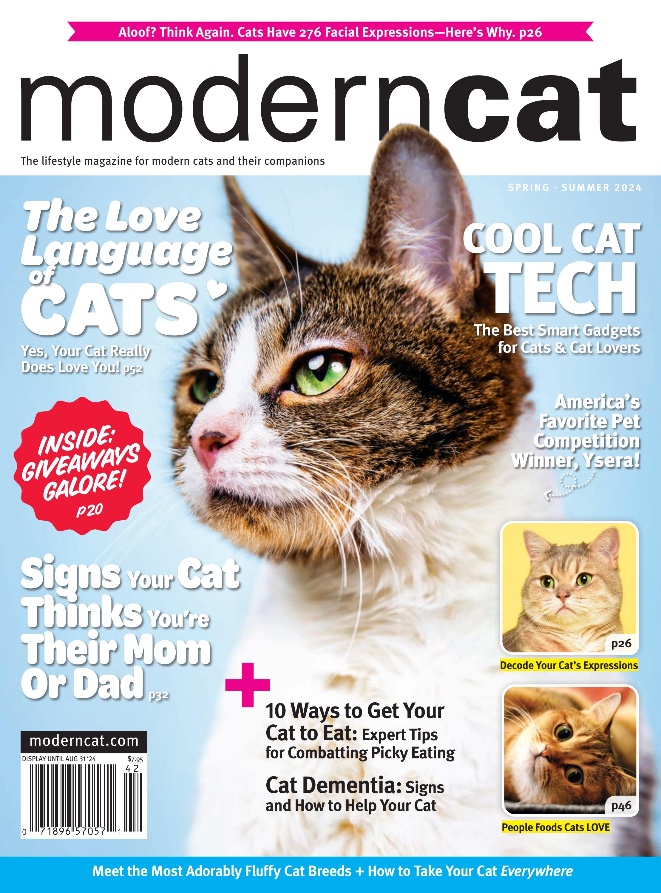 Modern Cat Spring/Summer 2024 by Modern Cat Magazine - Issuu