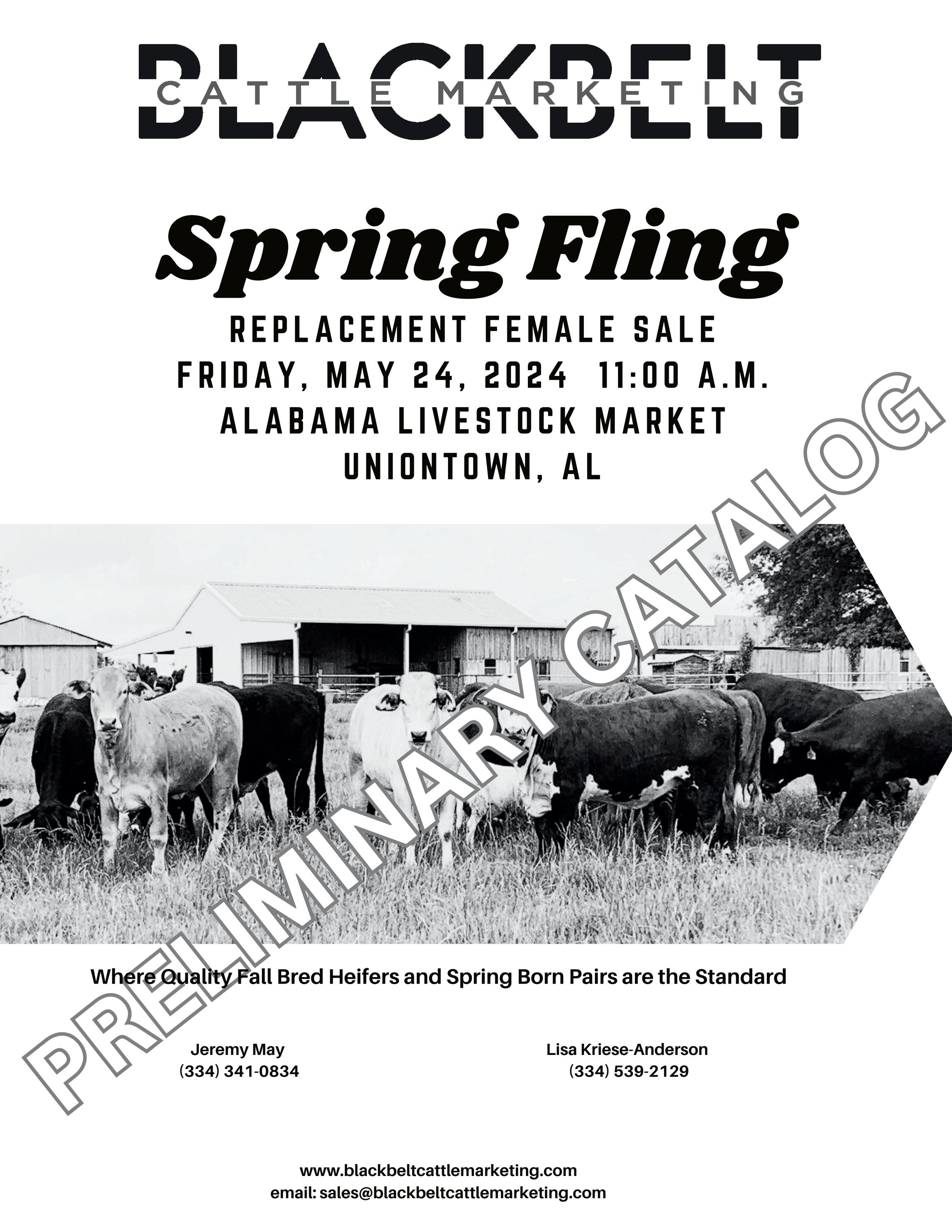 2024 Preliminary Spring Fling Catalog by blackbeltcattlemarketing - Issuu